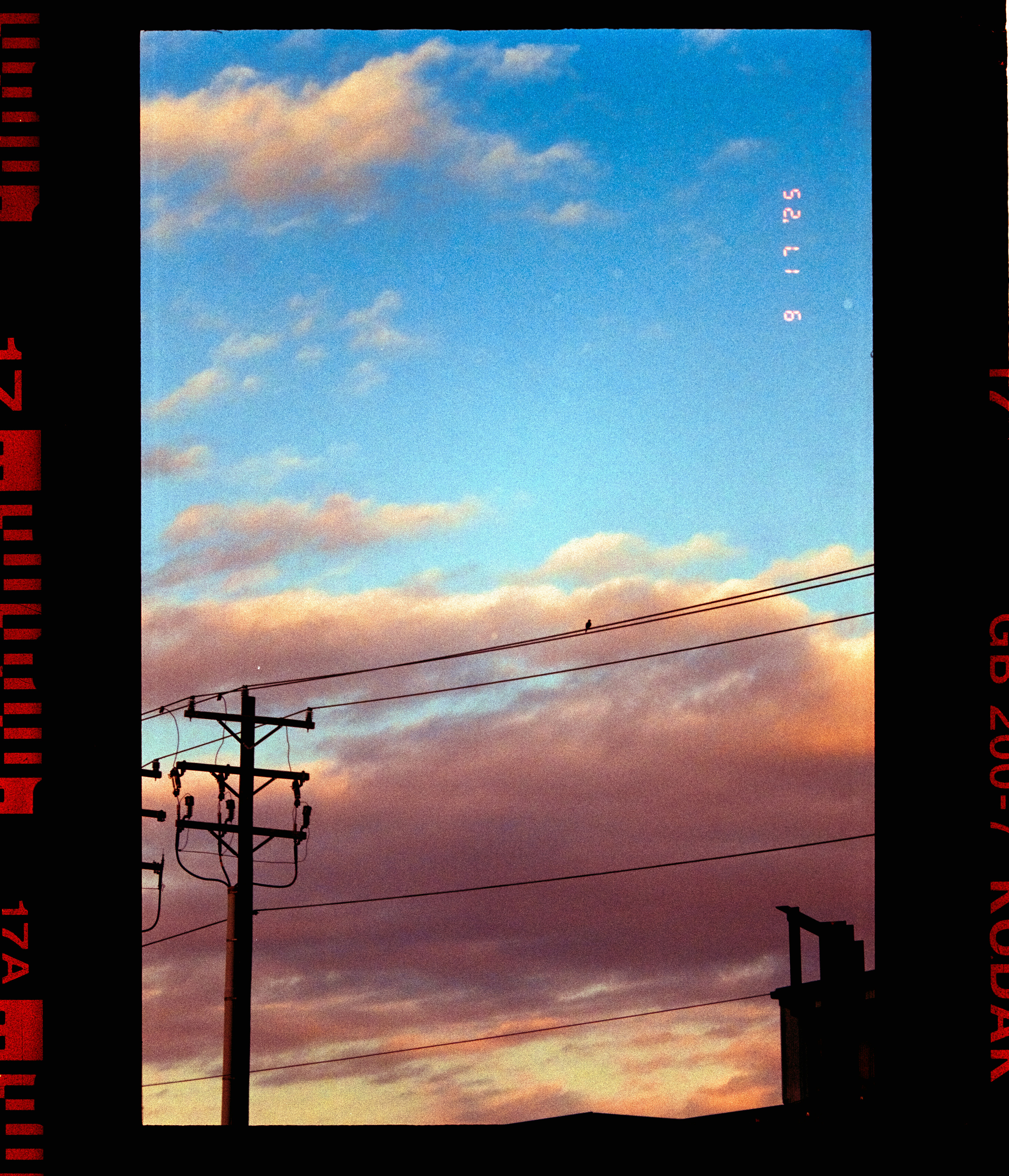 Twilight Whispers: A Skyward Reflection