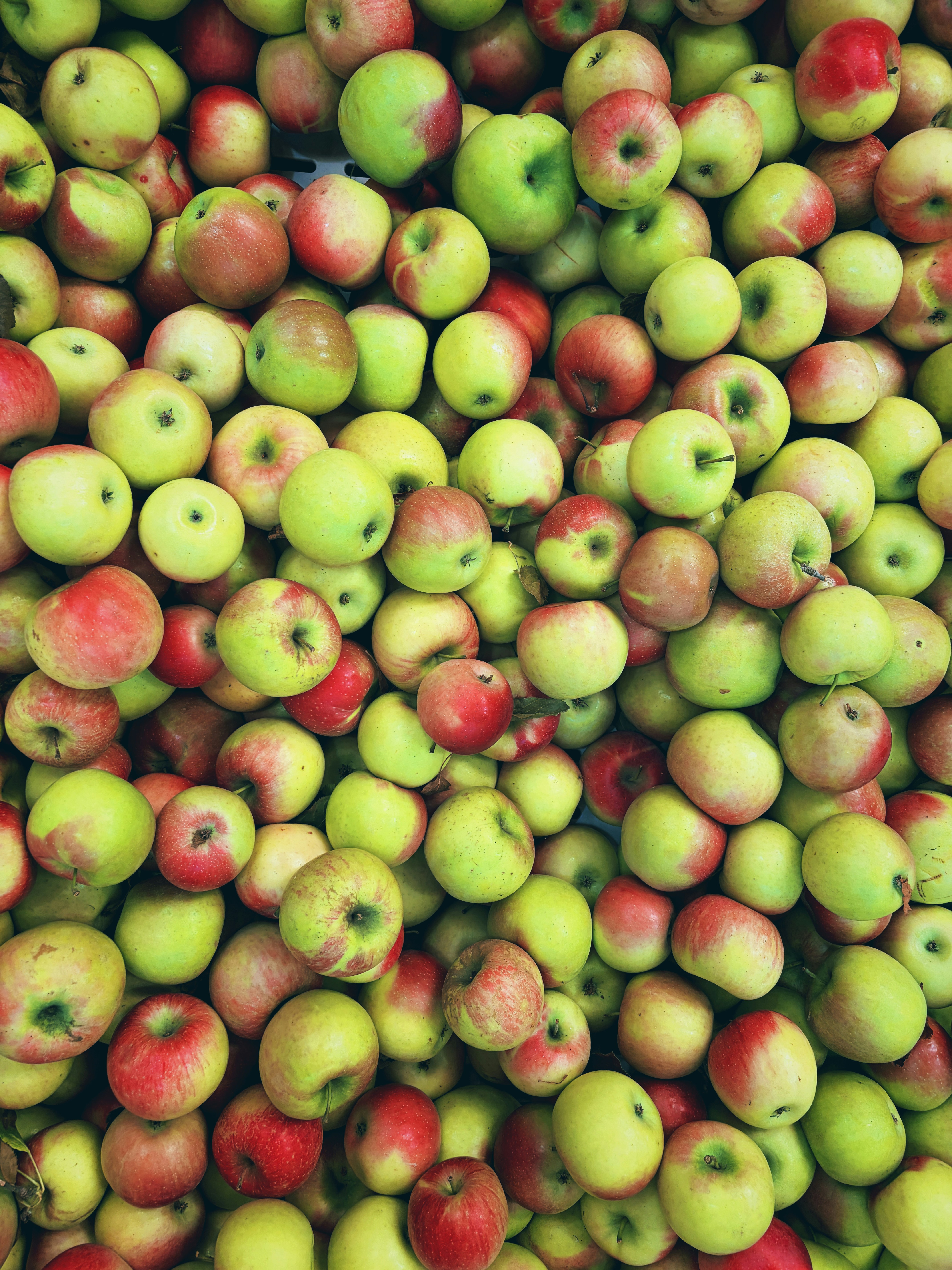 Photo by Spencer DeMera with Apple iPhone 17