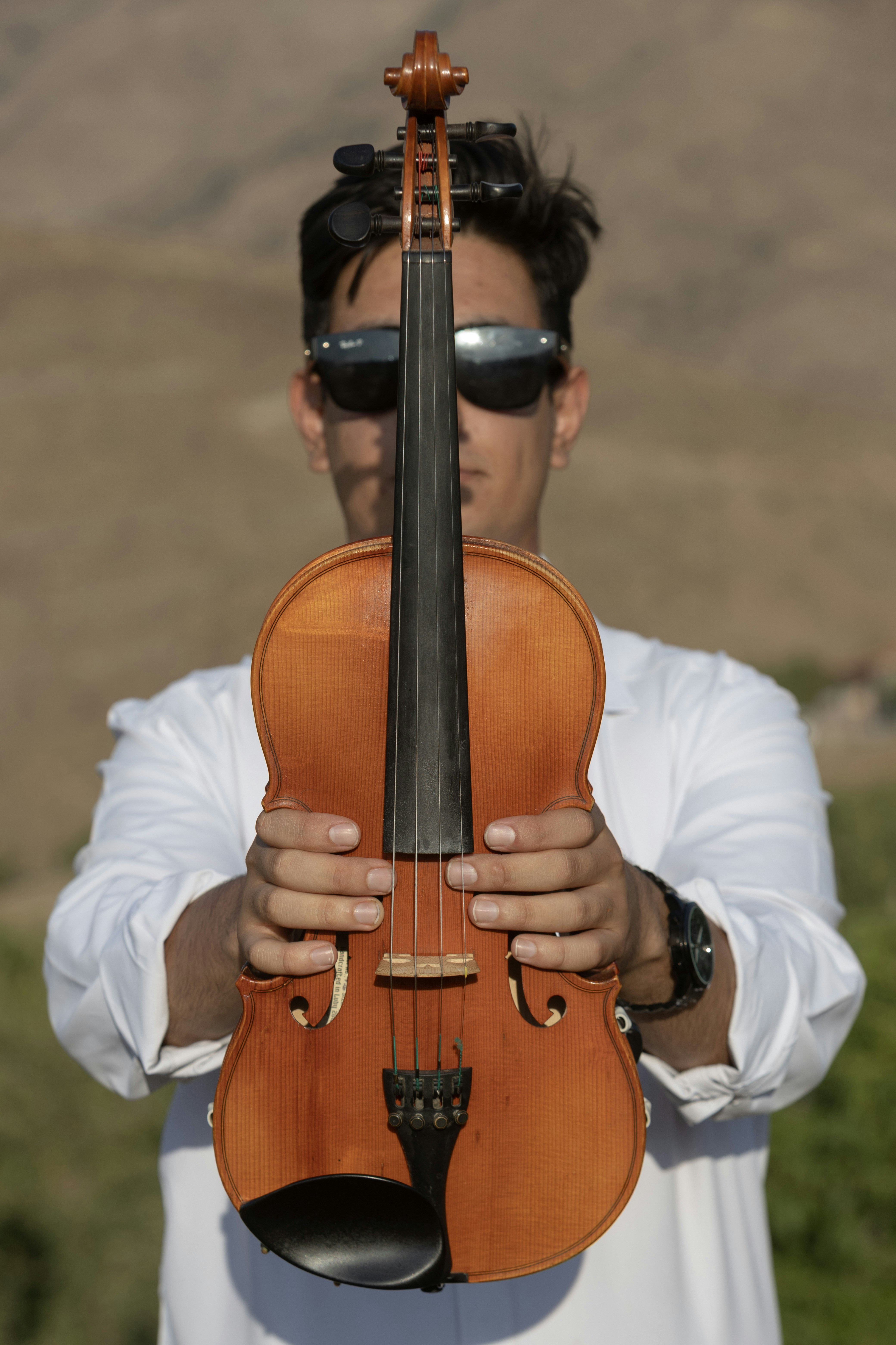 Harmony in Focus: A Violin's Embrace