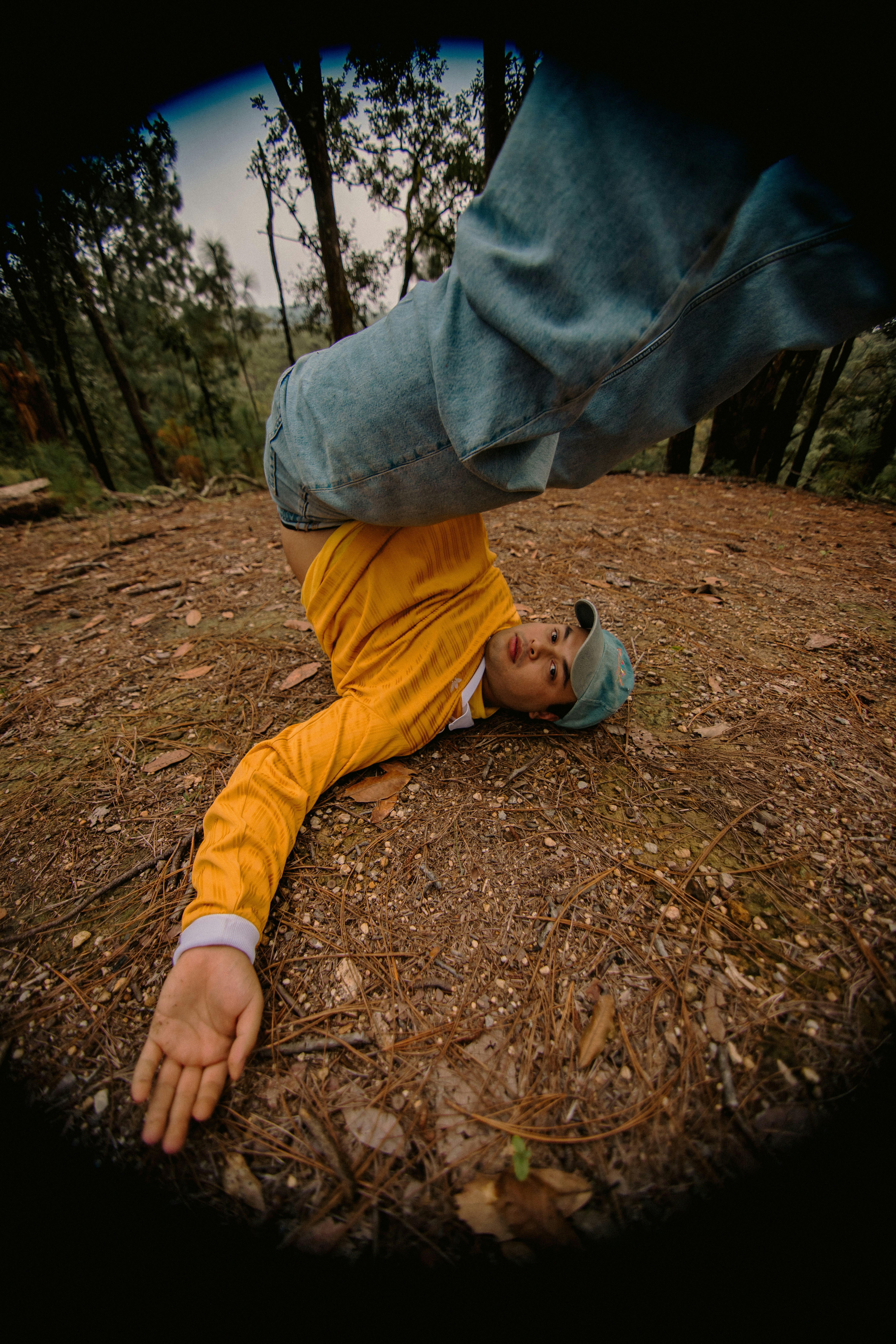 Gravity-Defying Dance in the Woods