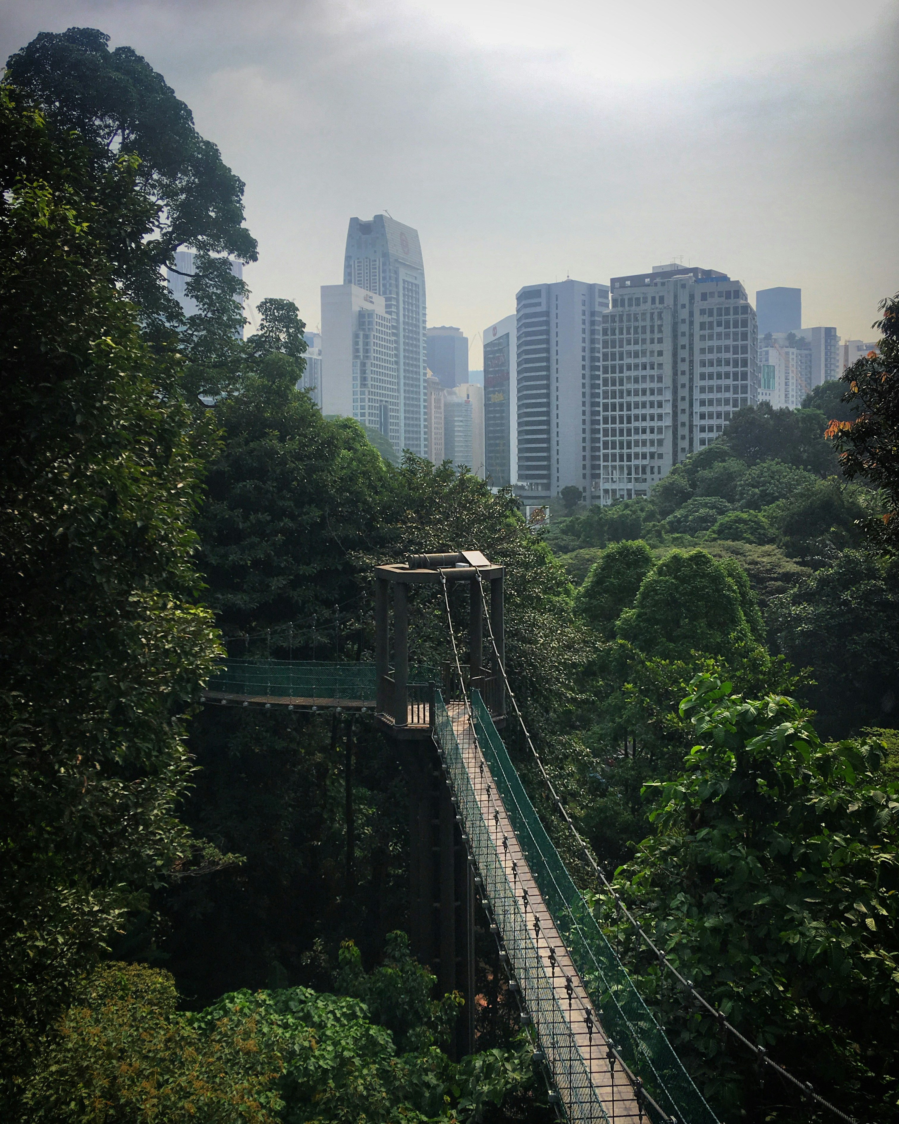 Canopy Walkway in lush green forest with Kuala Lumpur city skyline view, Malaysia, March 2019 | Suspension bridge in lush green park with city skyline.