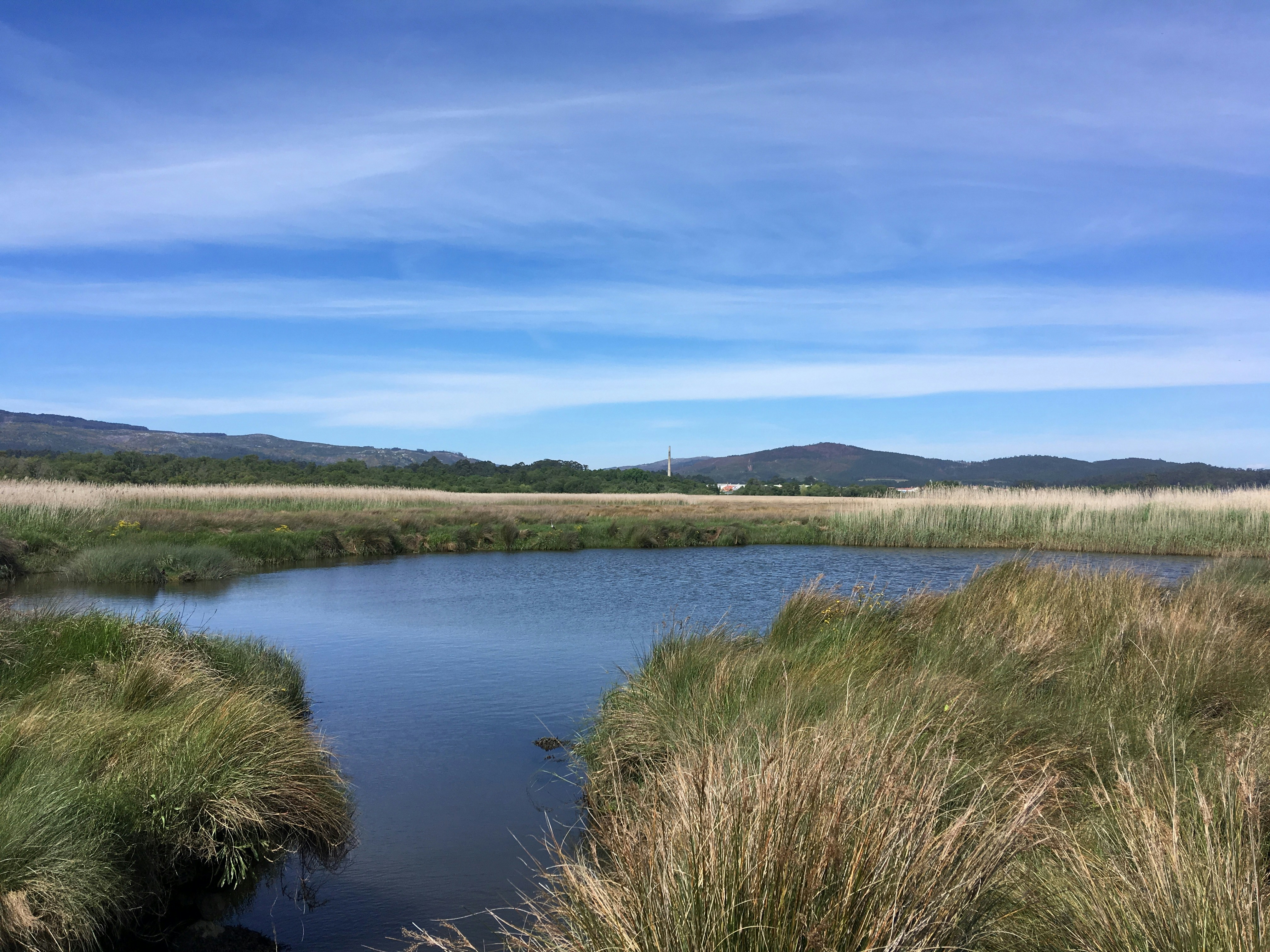 Serene marshland scene of the river Minho under a blue sky, Salcidos, A Guarda, Galicia, Spain, April 2019 | Calm pond surrounded by tall grass and distant hills.