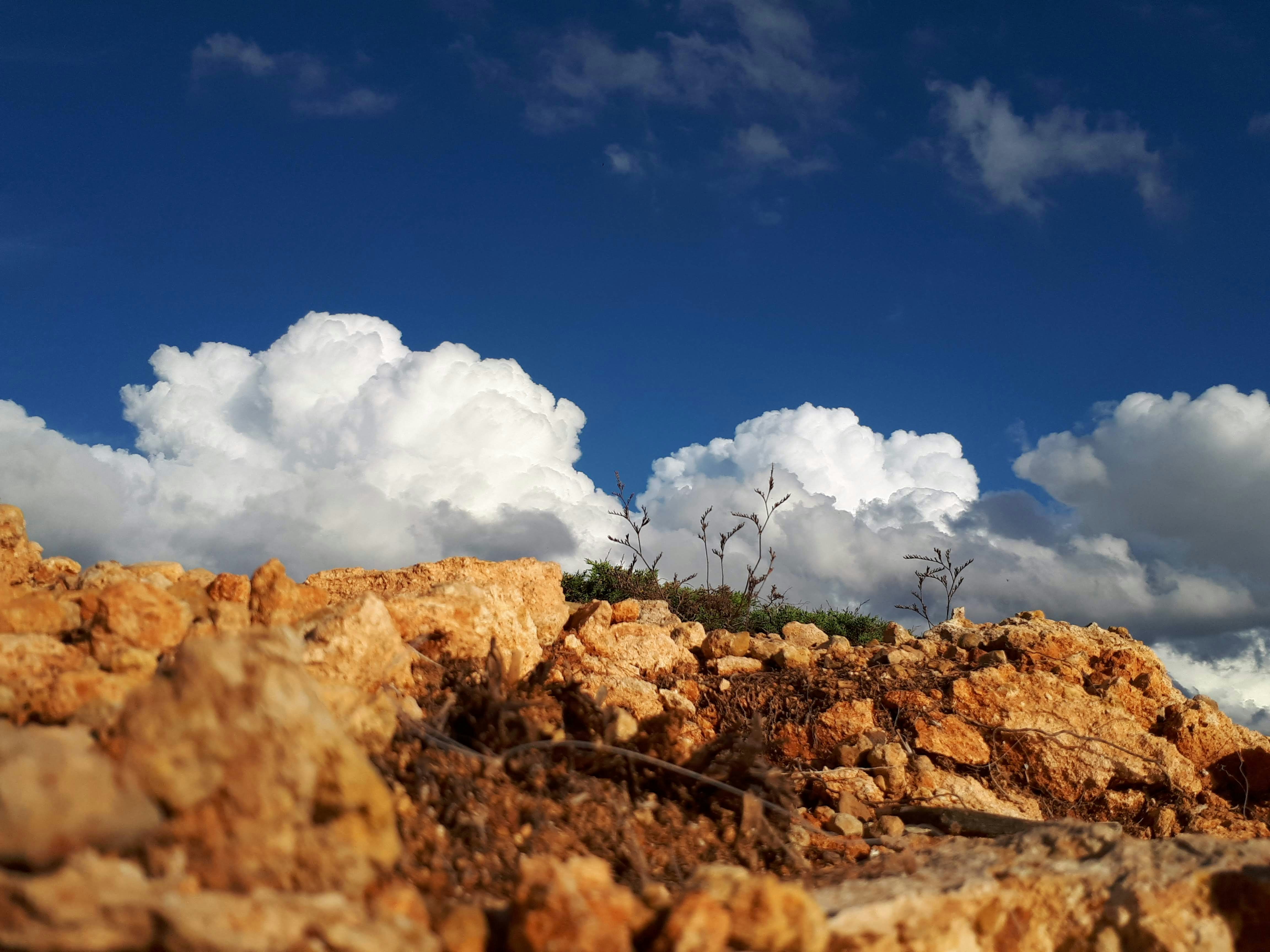 Earth and Sky: A Harmonious Contrast