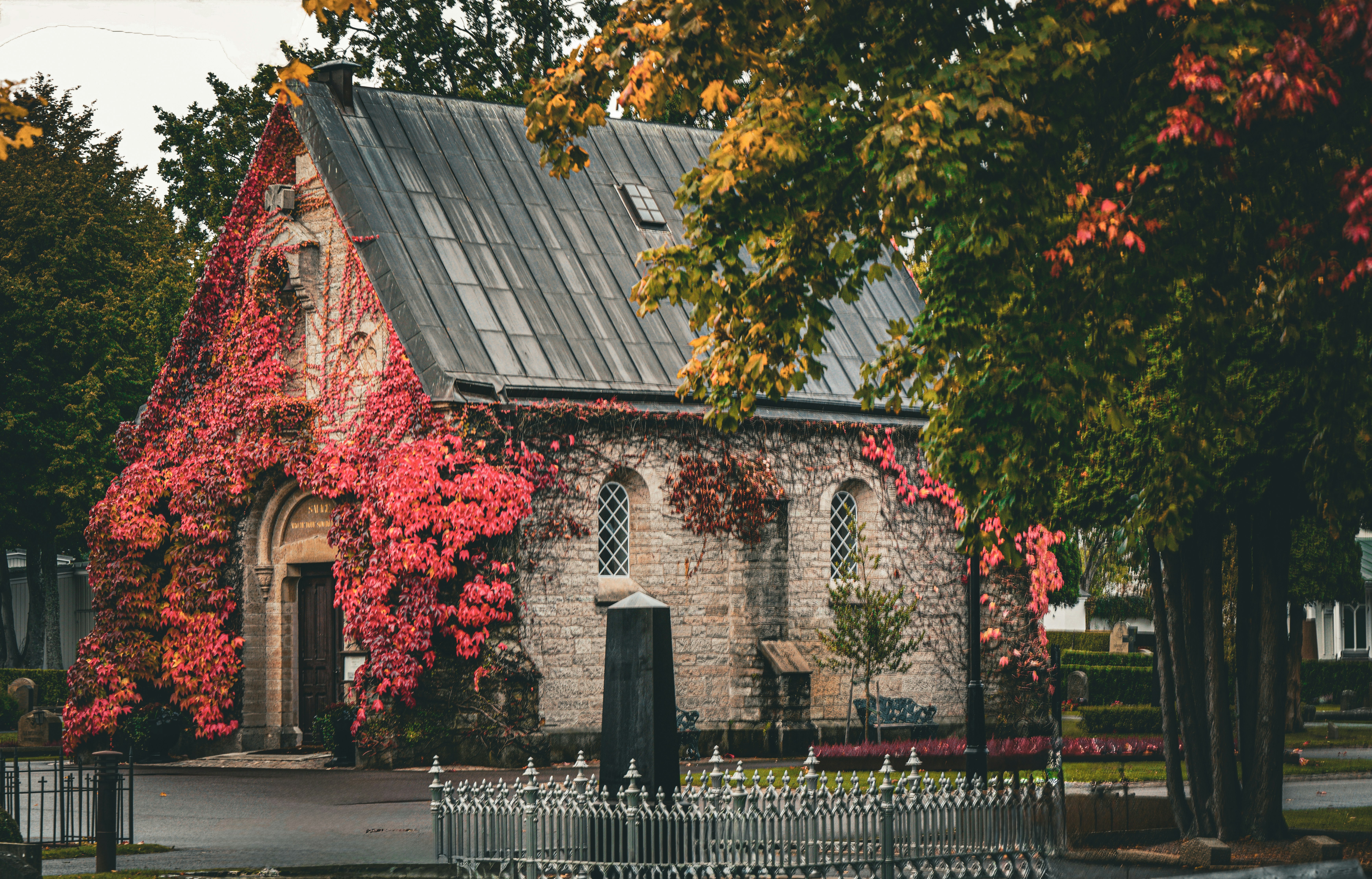 Stone building covered in red ivy in autumn