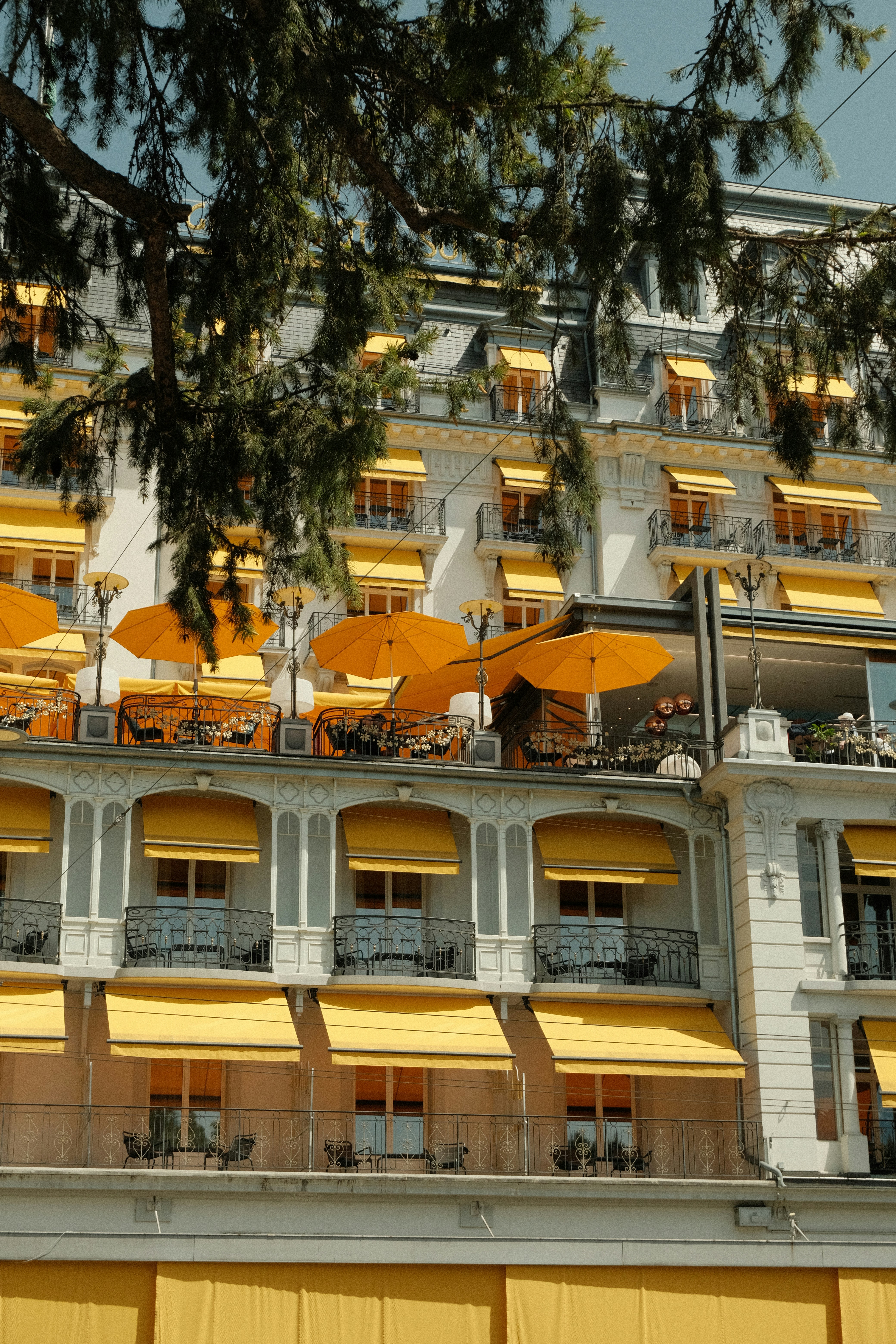 A Symphony of Yellow: Architectural Elegance in Warm Hues