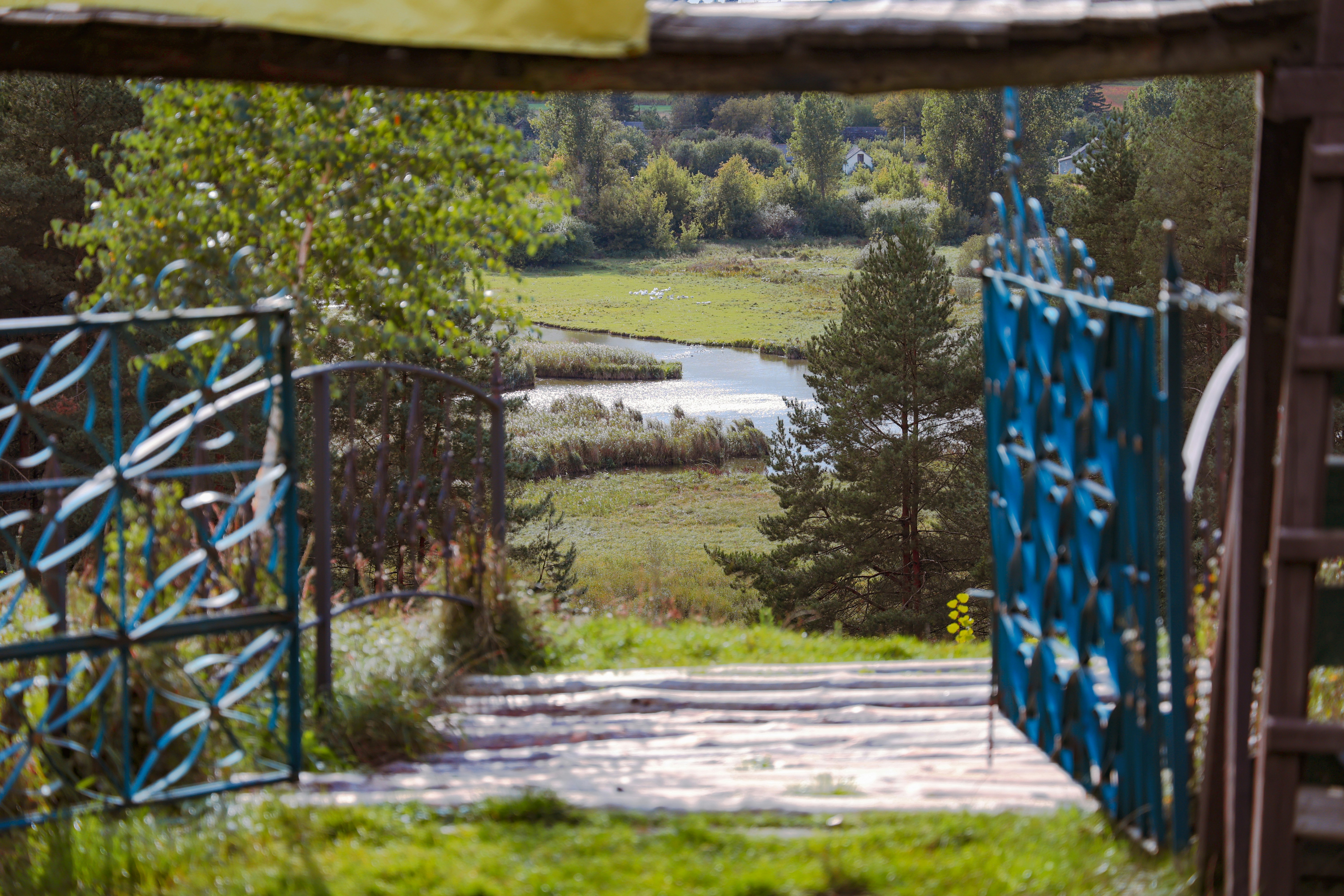 Threshold to Quiet Horizons: Blue Gates Framing a Distant Lake
