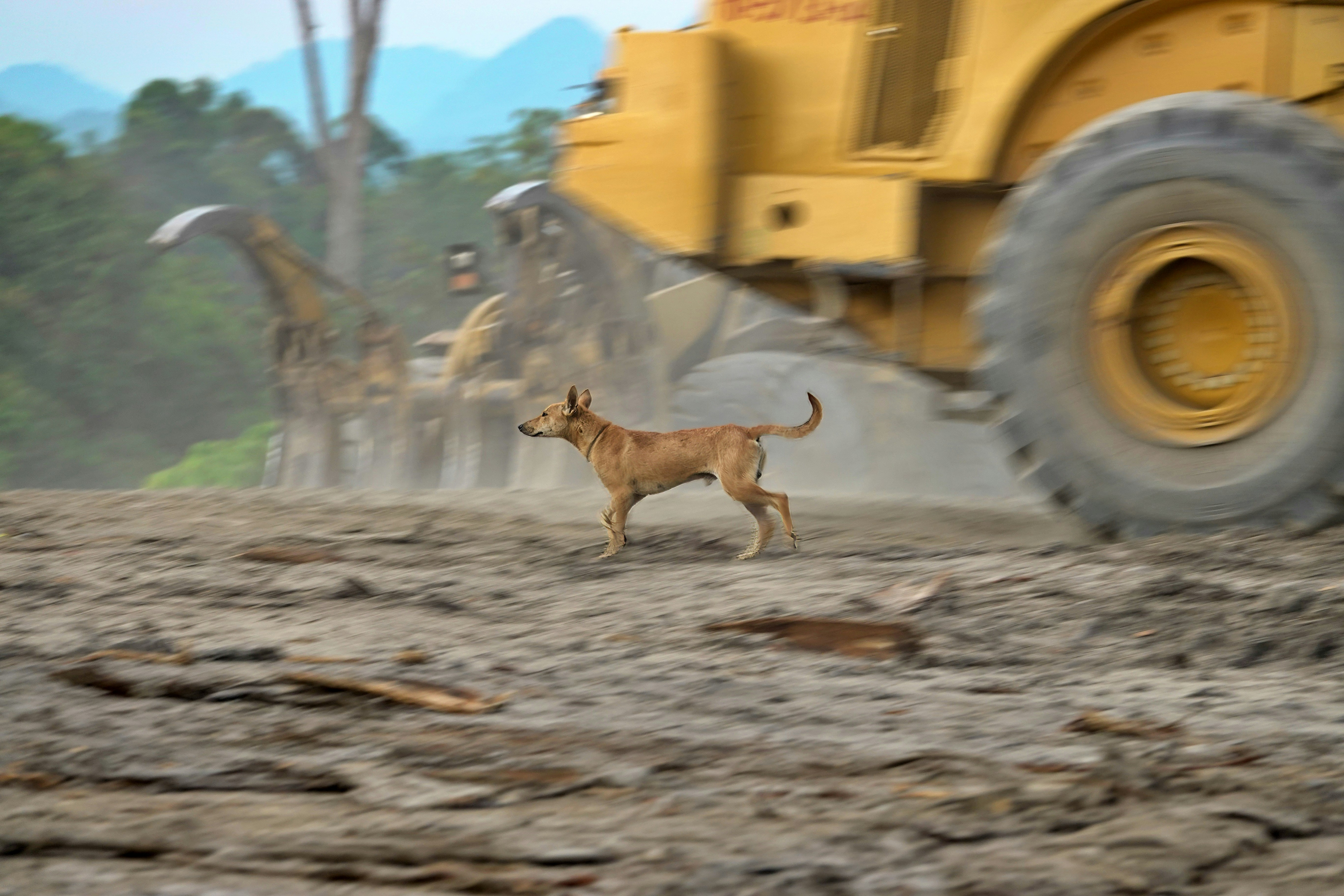 A dog runs across a dusty construction site.