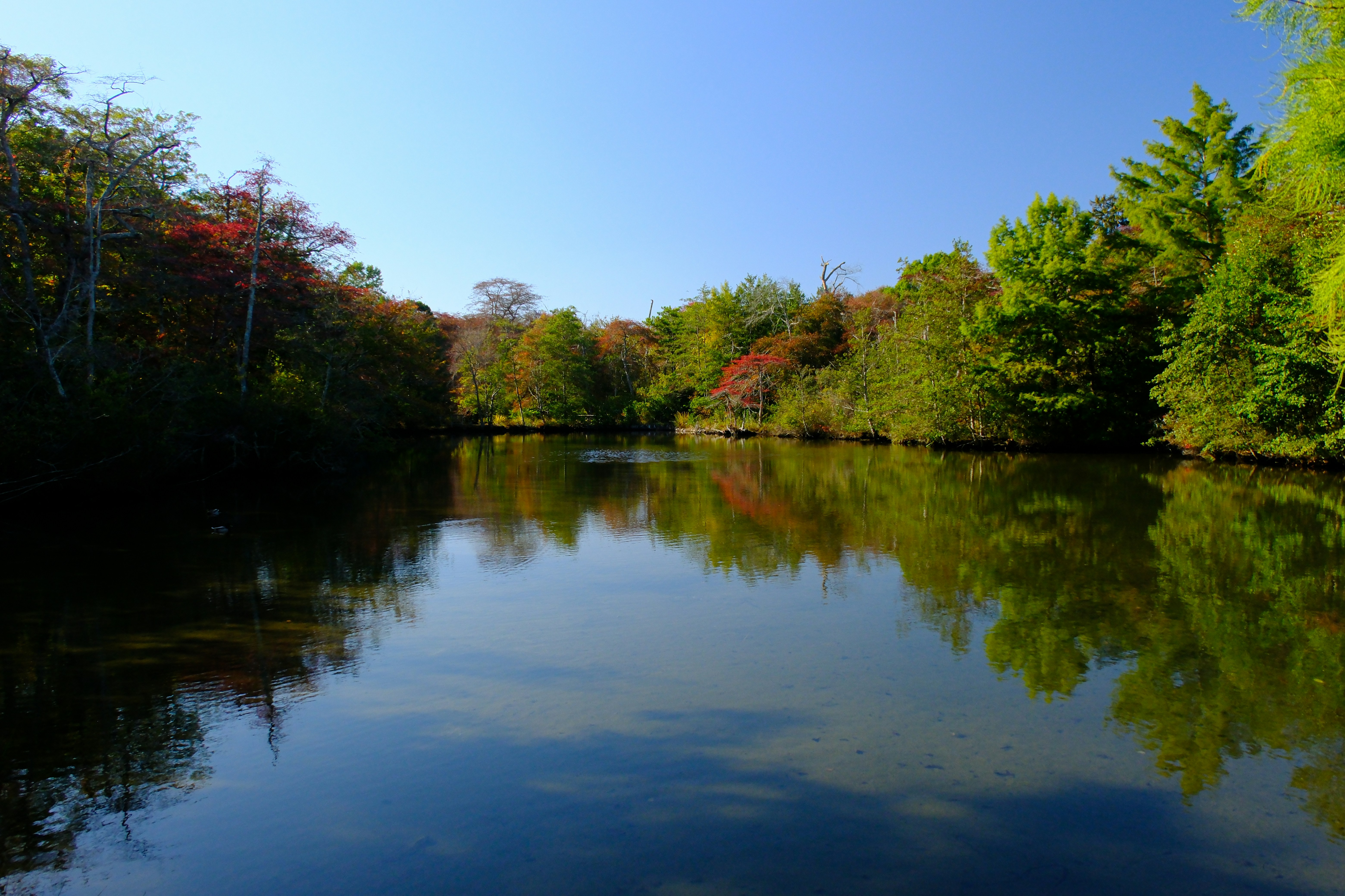Serene lake surrounded by vibrant autumn foliage reflecting in calm waters.
