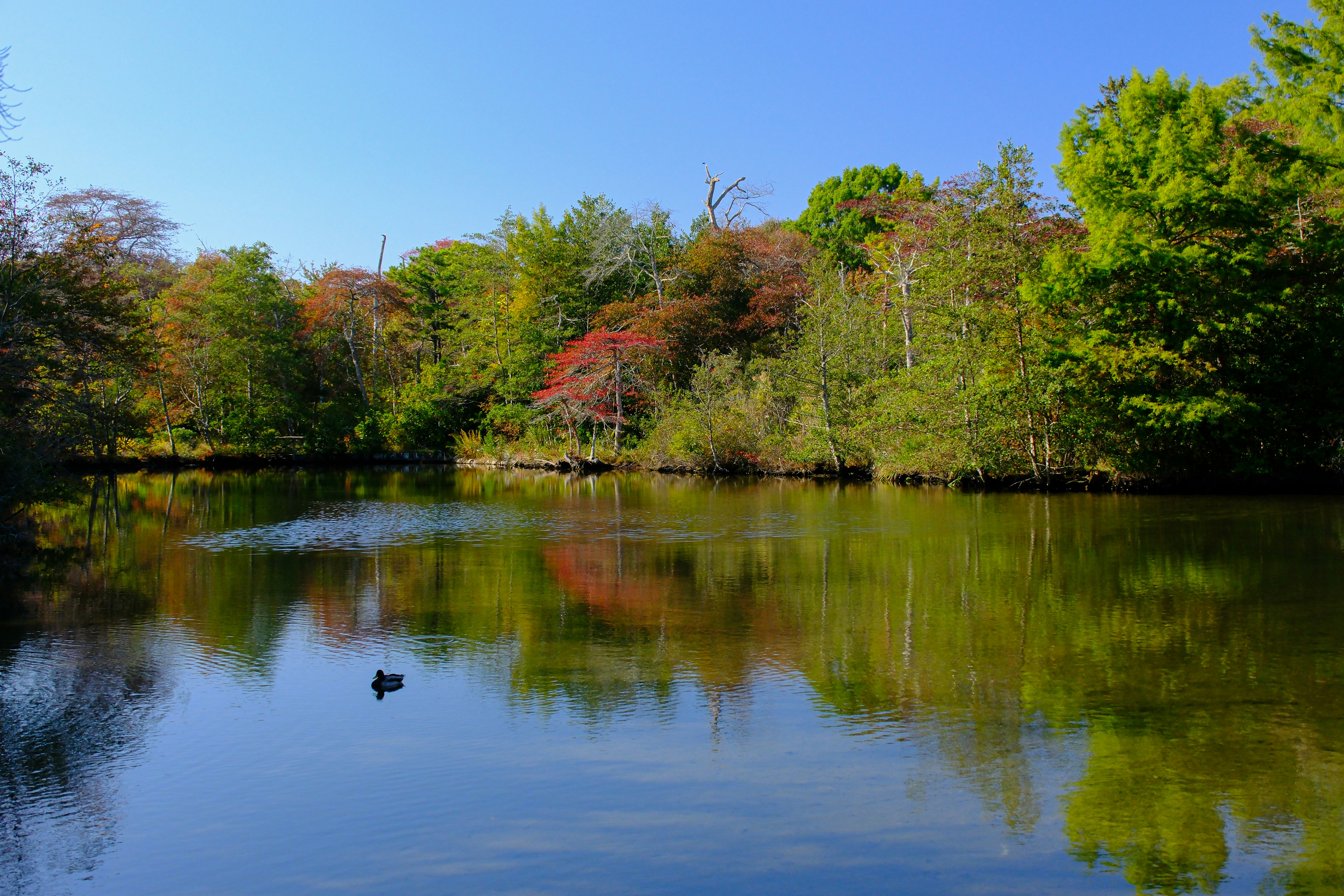 Photo by MICHAEL CHIARA with Fujifilm X-H2S