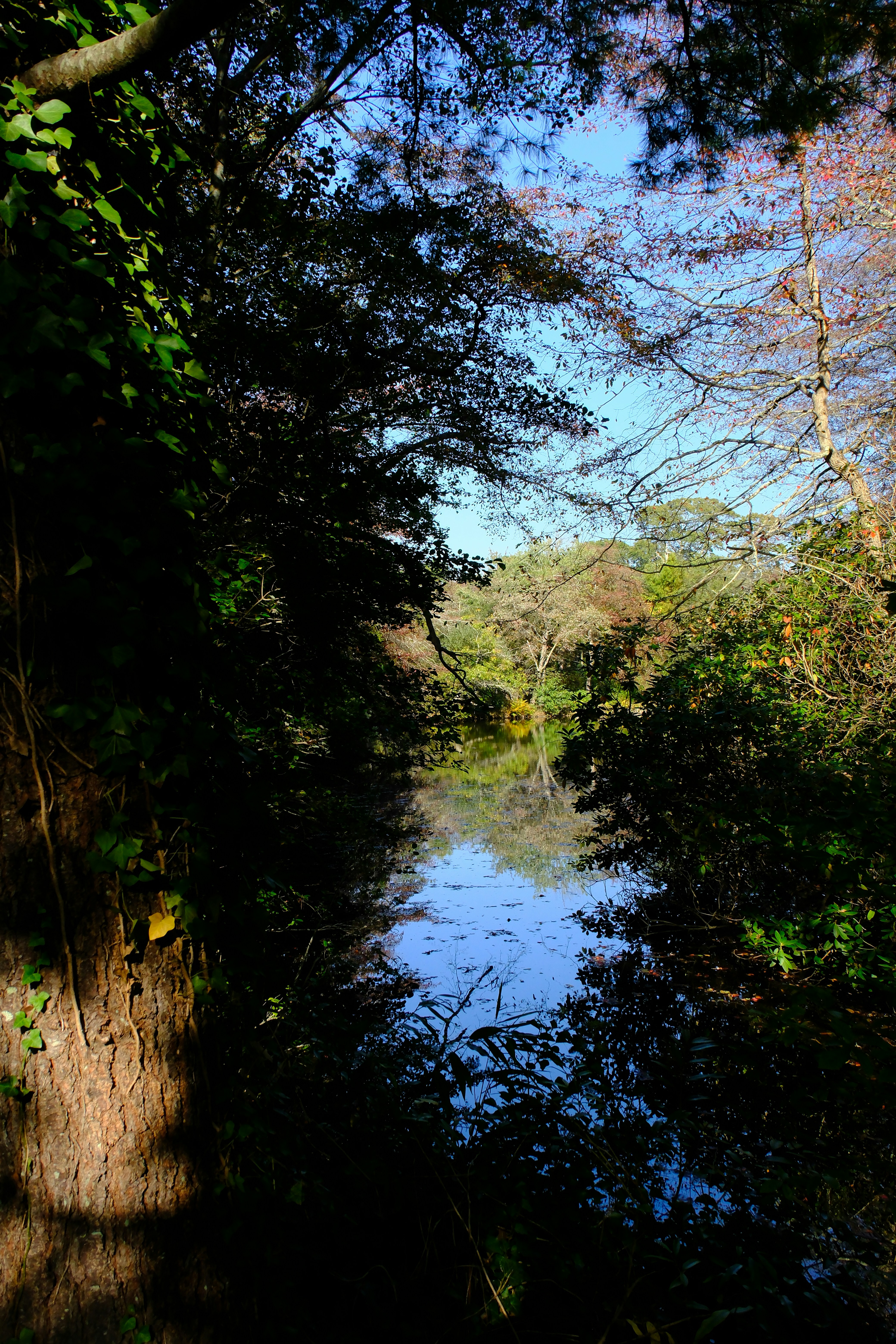 Photo by MICHAEL CHIARA with Fujifilm X-H2S