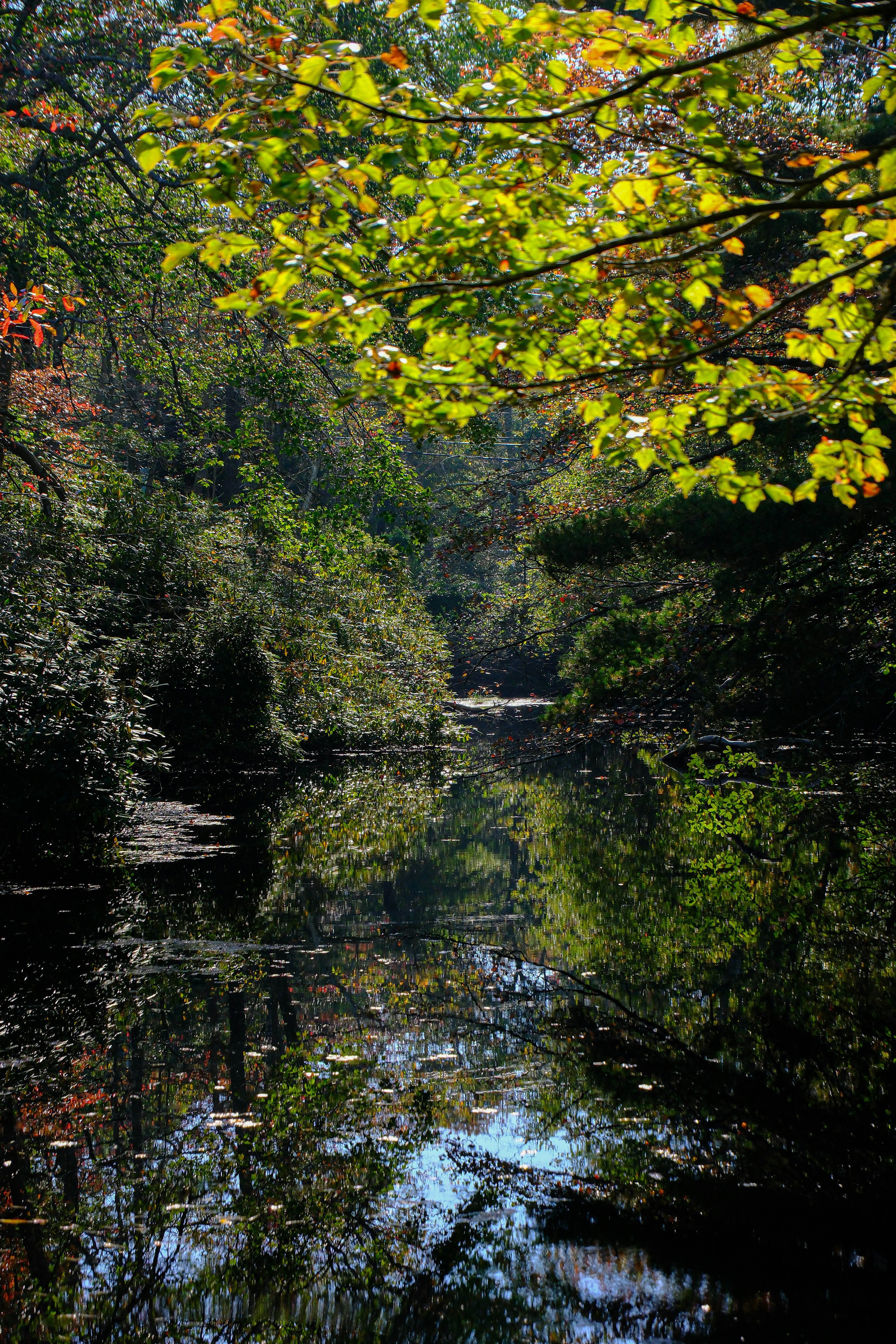 Reflections of Autumn Serenity