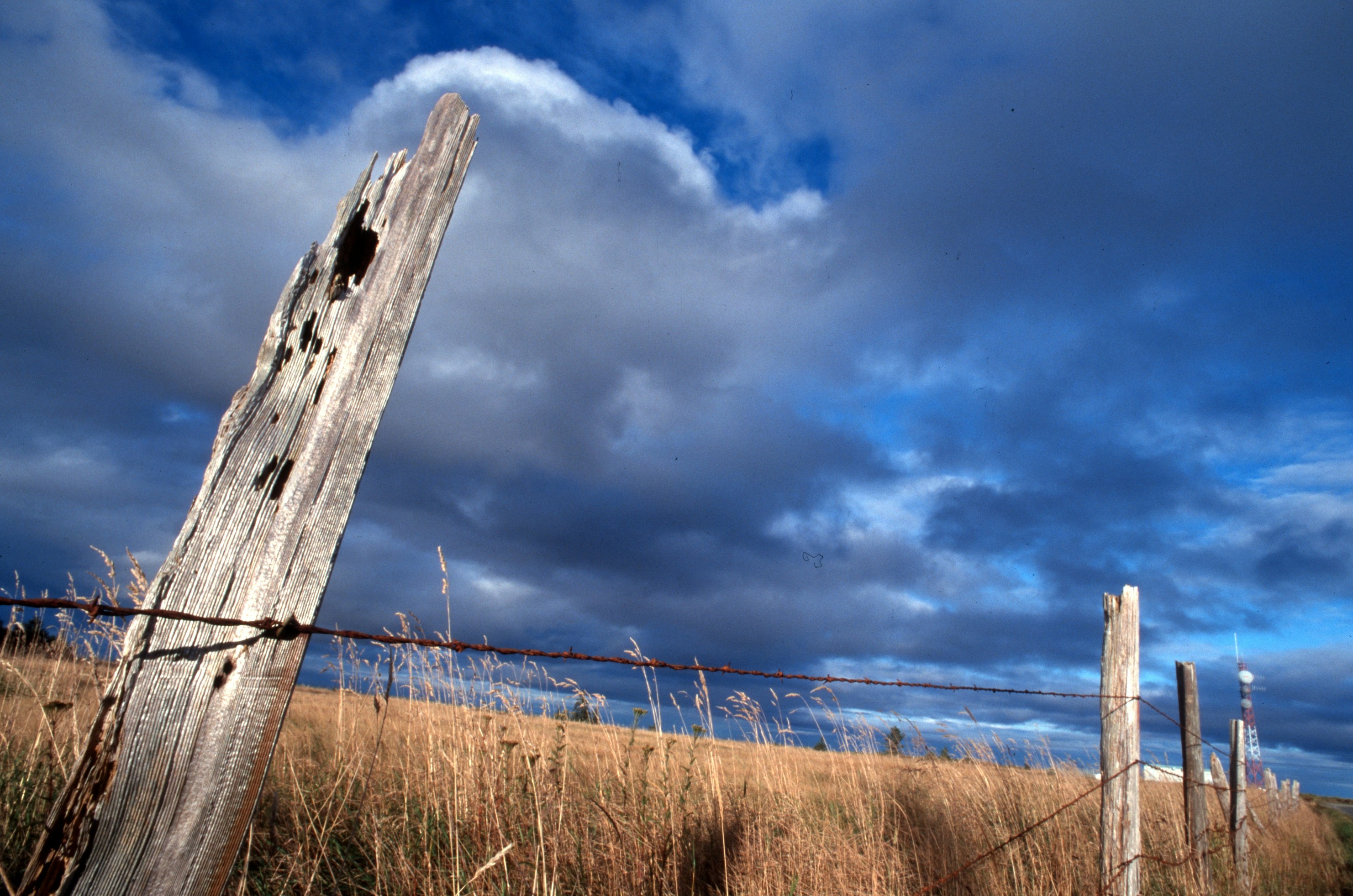 Weathered fence posts stand sentinel over golden grasses under a dramatic sky. The scene evokes a sense of tranquility and connection to nature.
