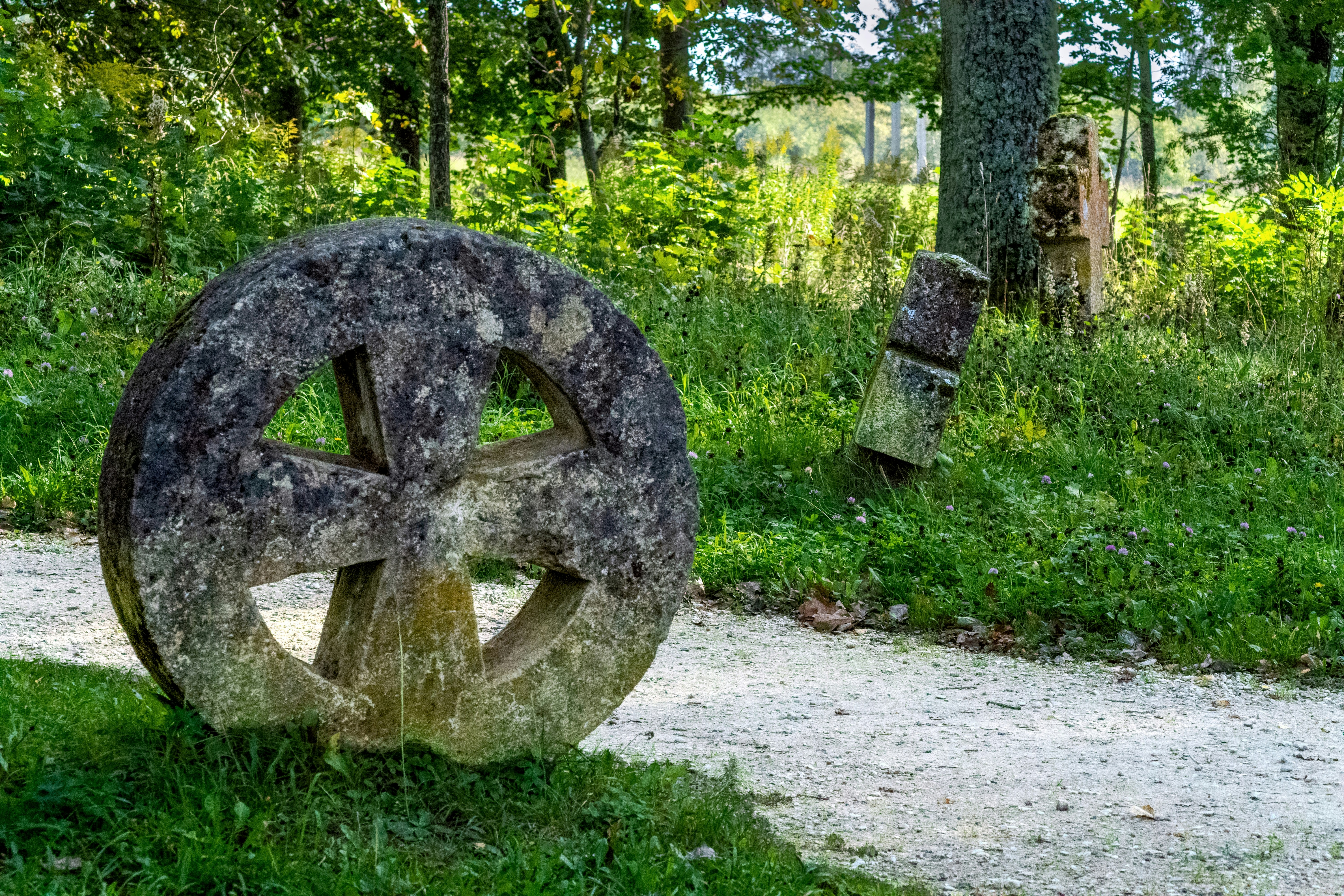 Ancient stone wheel artifact in a grassy forest clearing. photo – Free ...