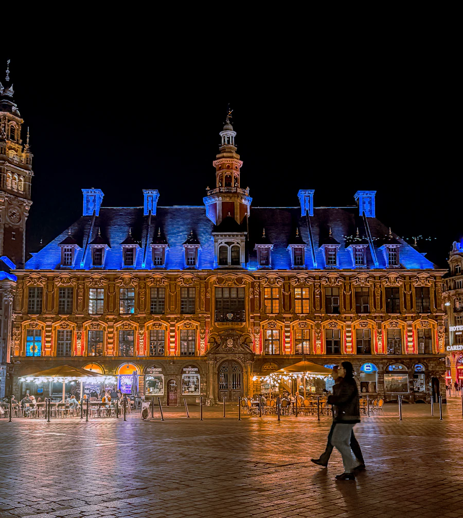 Ornate historic building lit in blue and amber against a black night sky, with a person walking across the foreground plaza. Windows, dormers, and a central tower create a symmetrical facade.