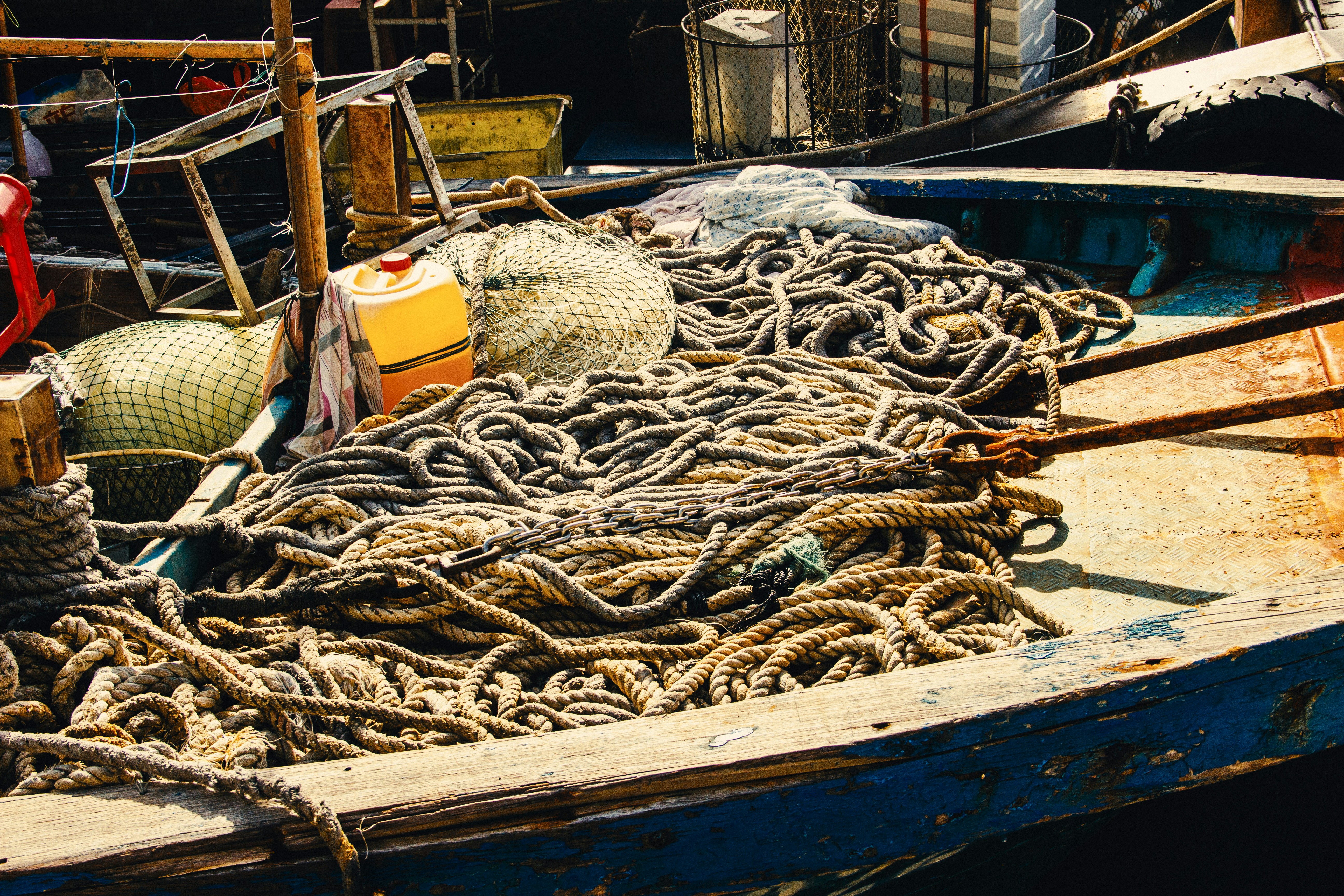 Tangled Tales of the Harbor