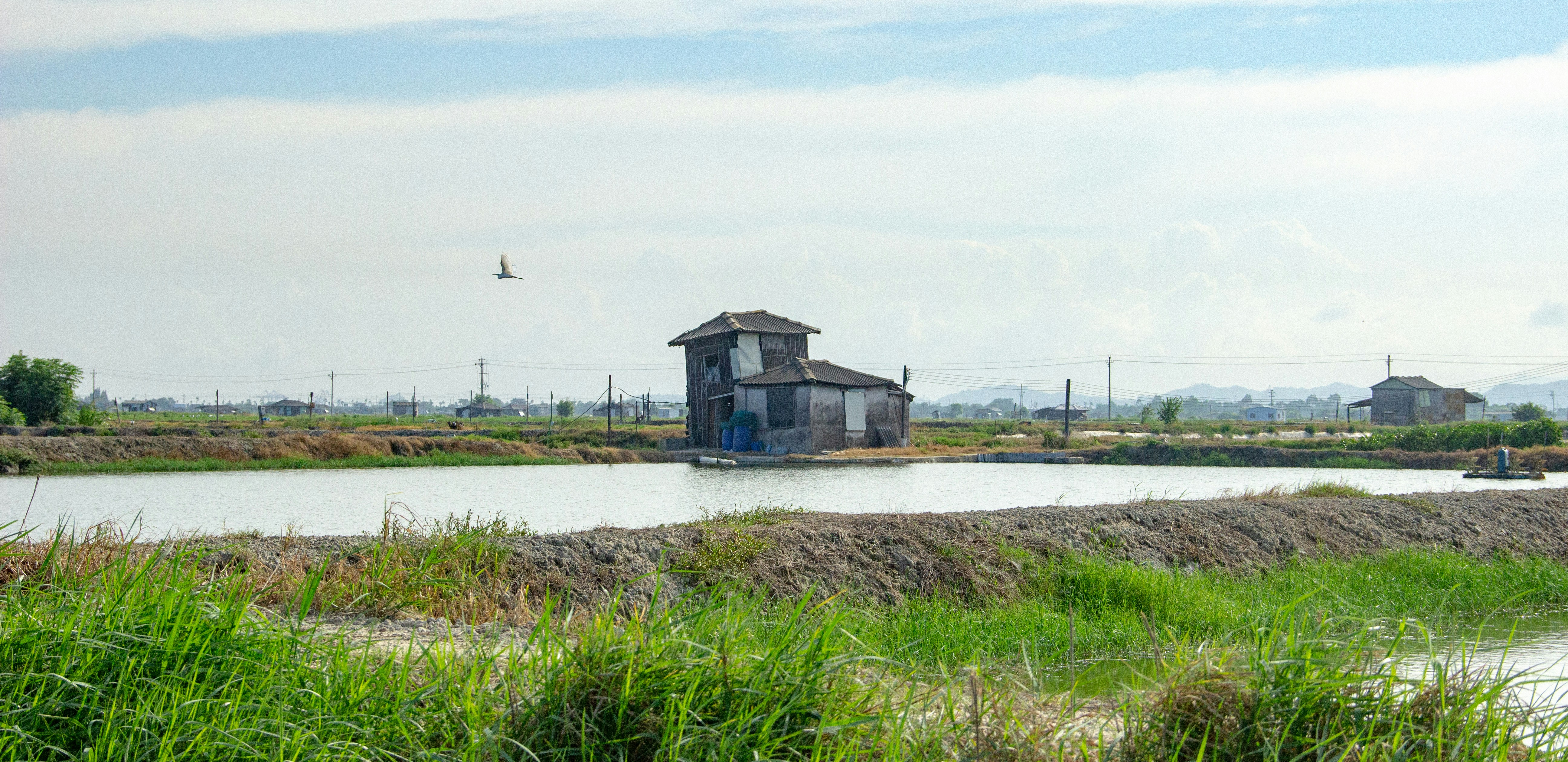 Reflections of Solitude: A Homestead by the Water