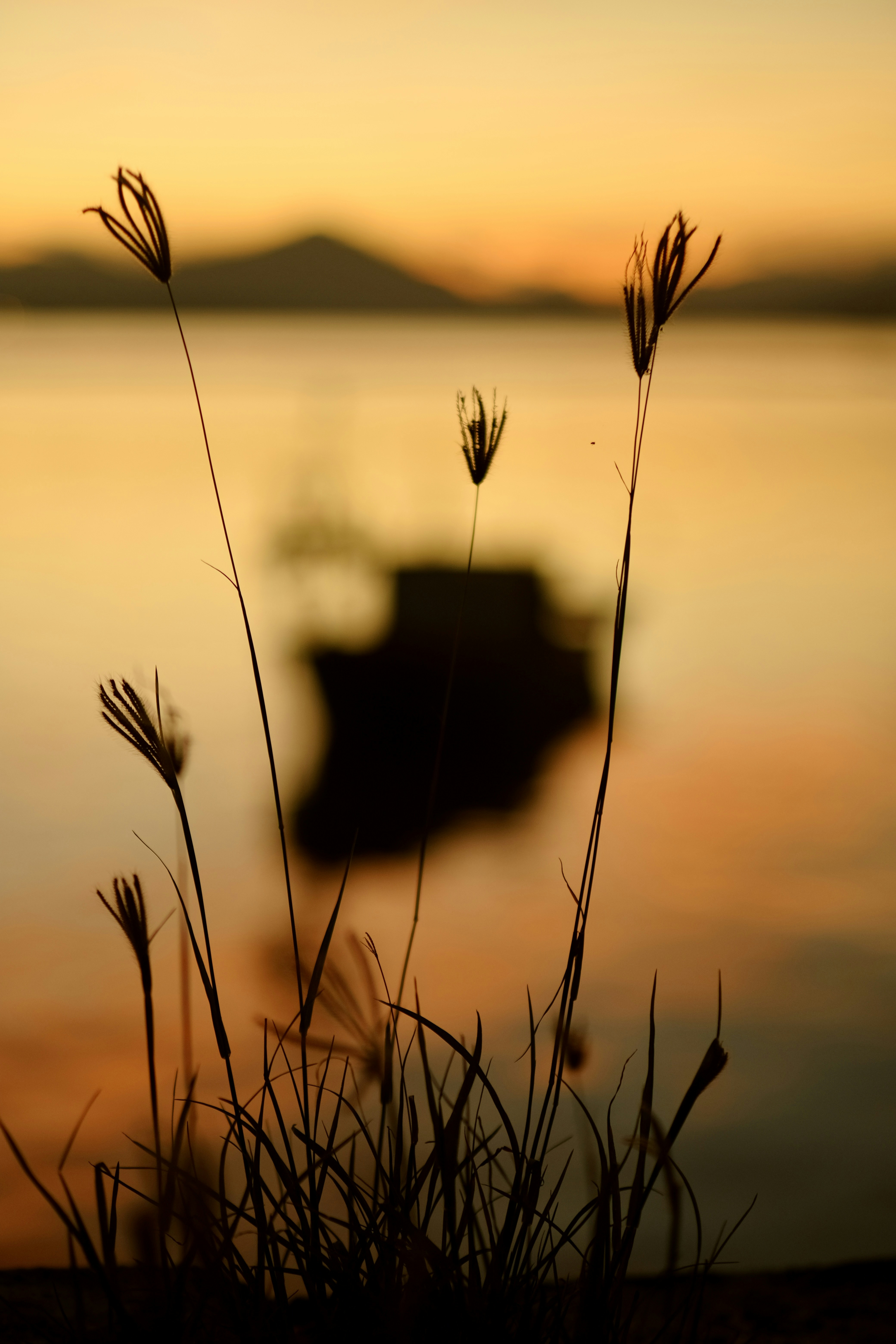 Whispers of the Dawn: Nature's Embrace