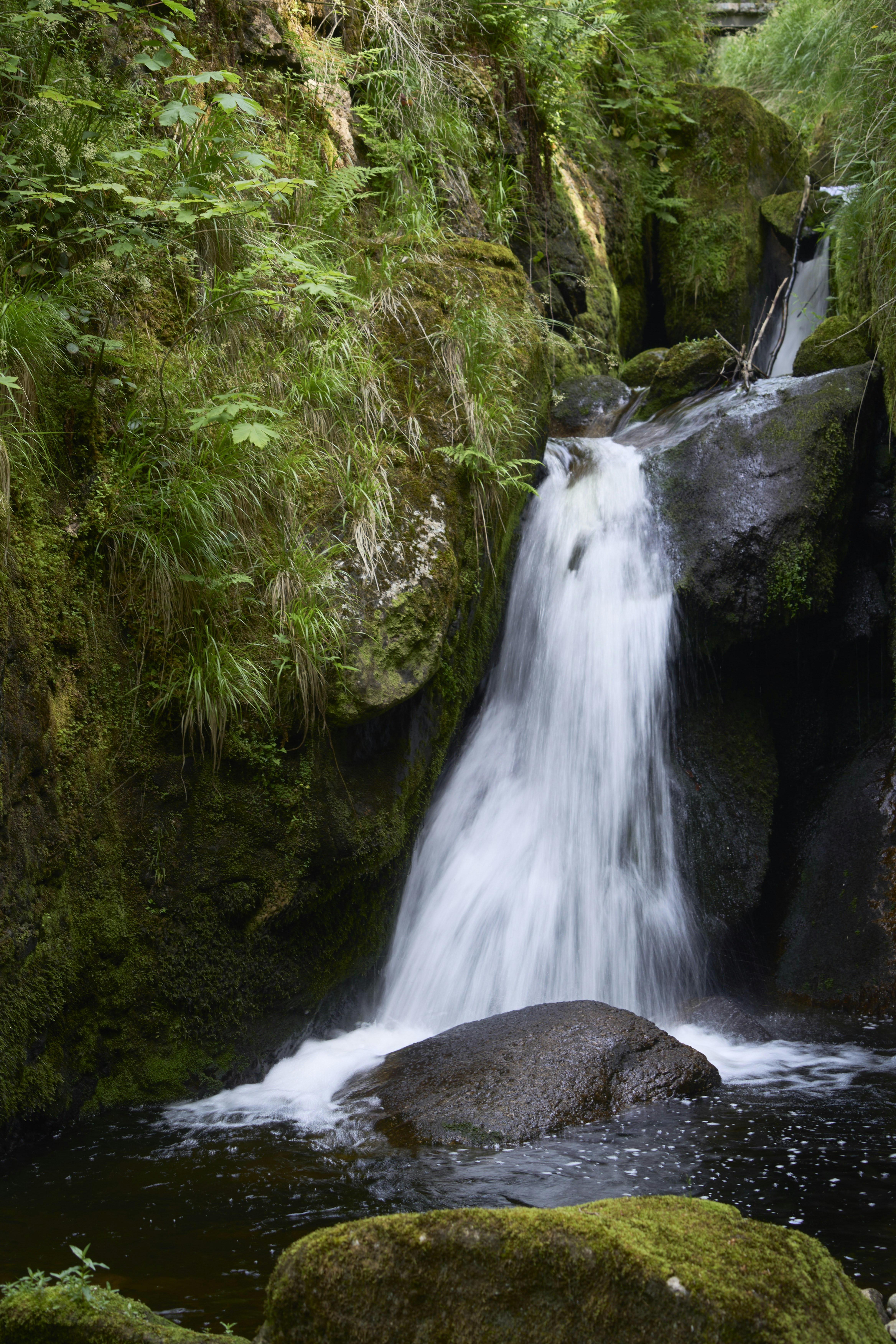 Whispers of the Cascading Waters