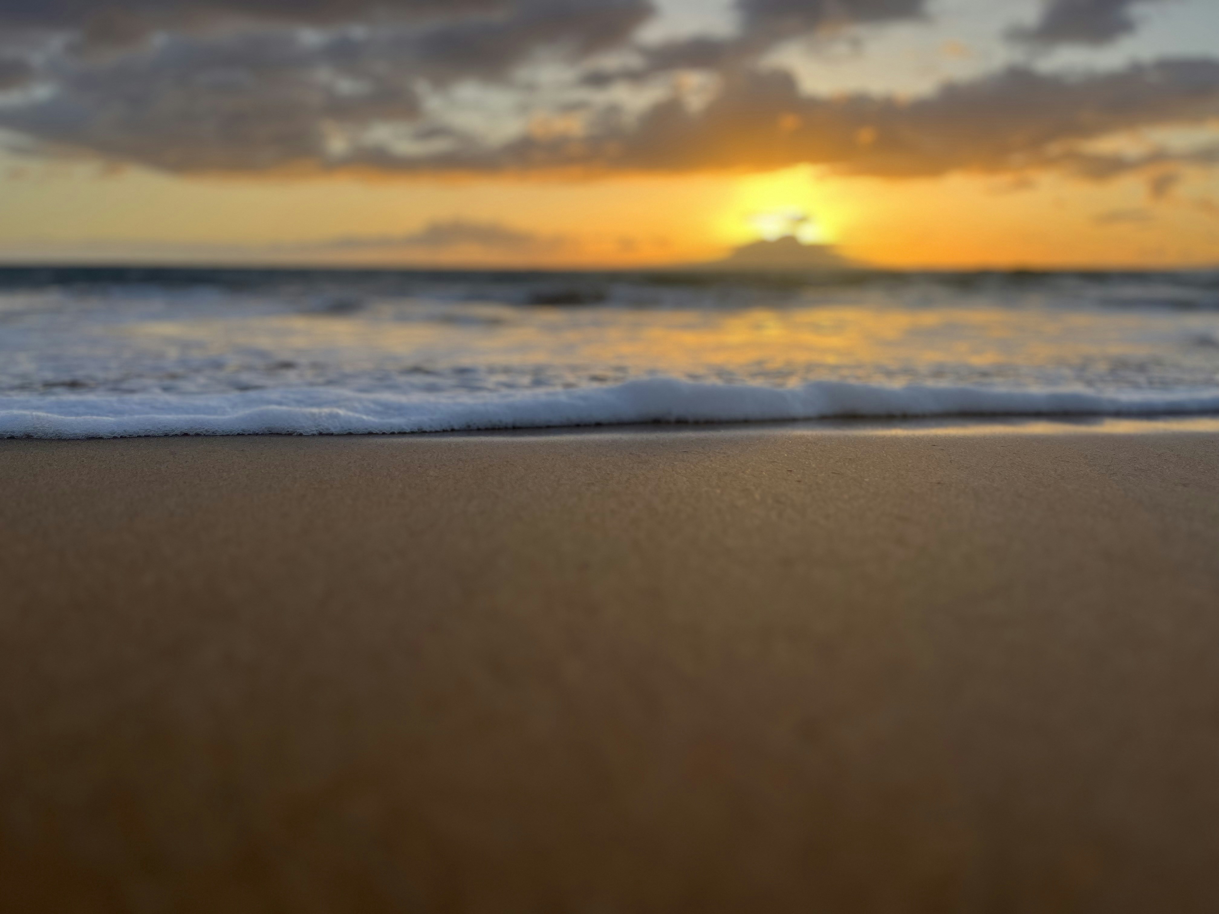 Whispers of Dusk: The Ocean's Embrace