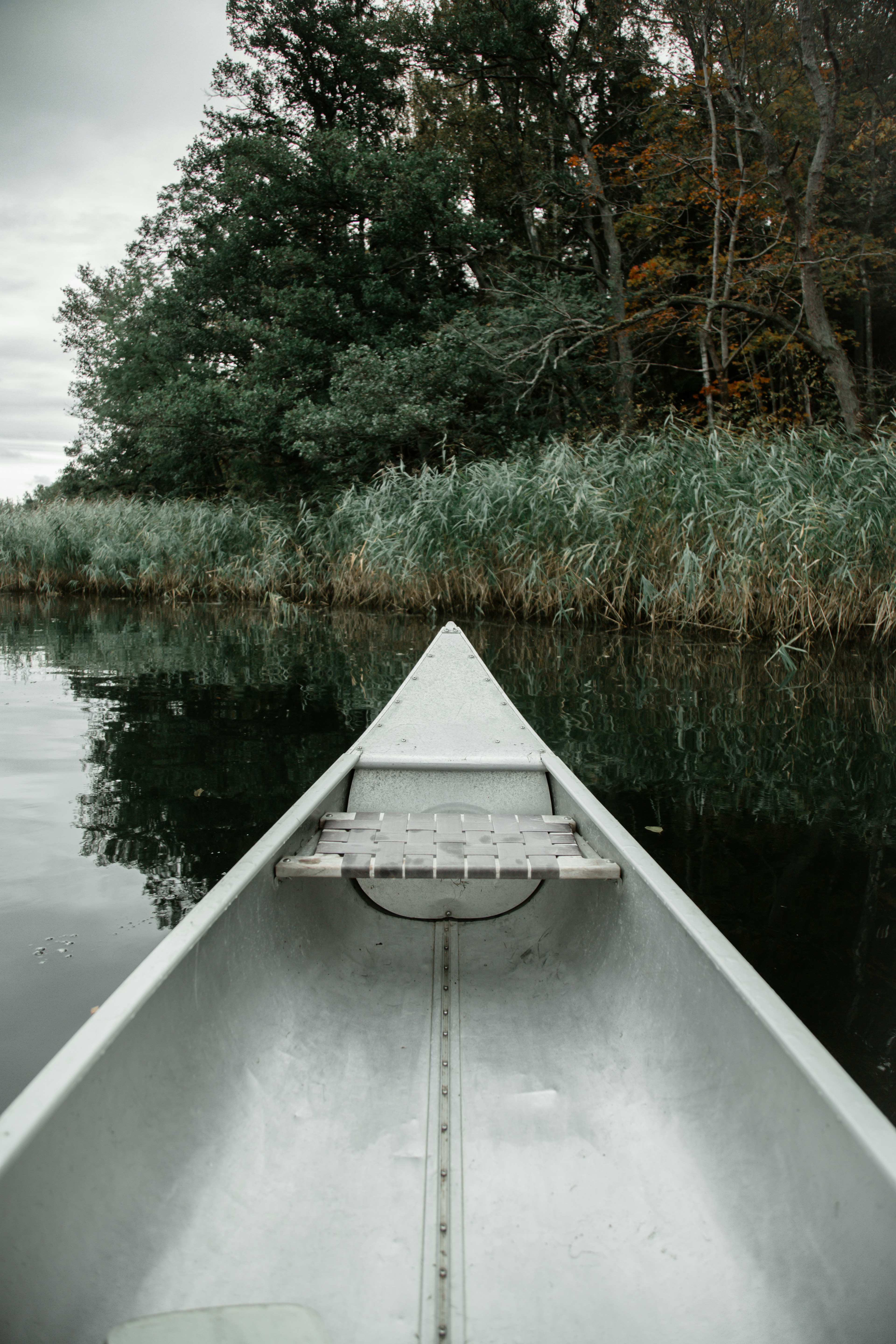 Canoe moving through calm water towards trees