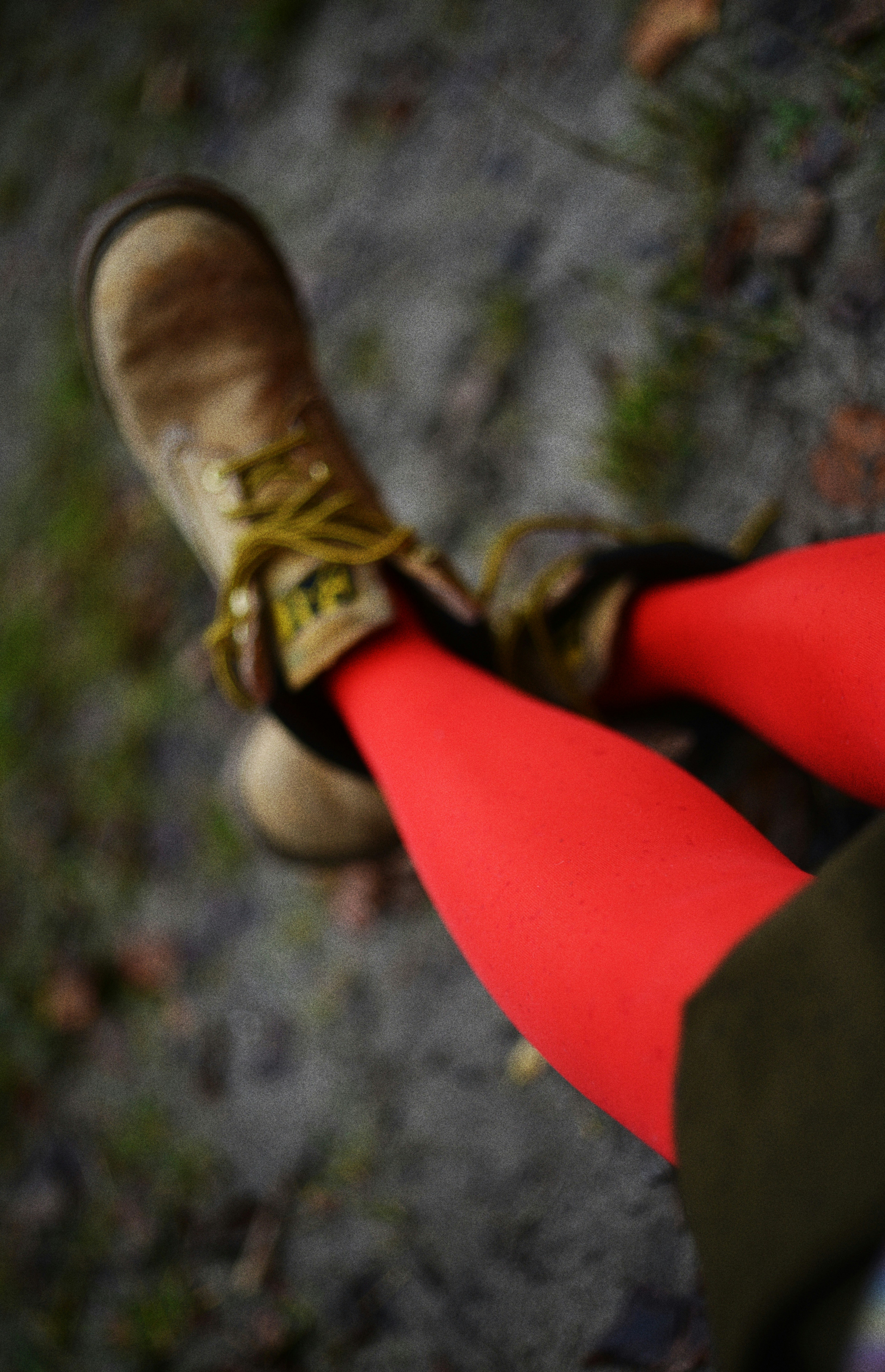 Scarlet Stride on a Muddy Trail