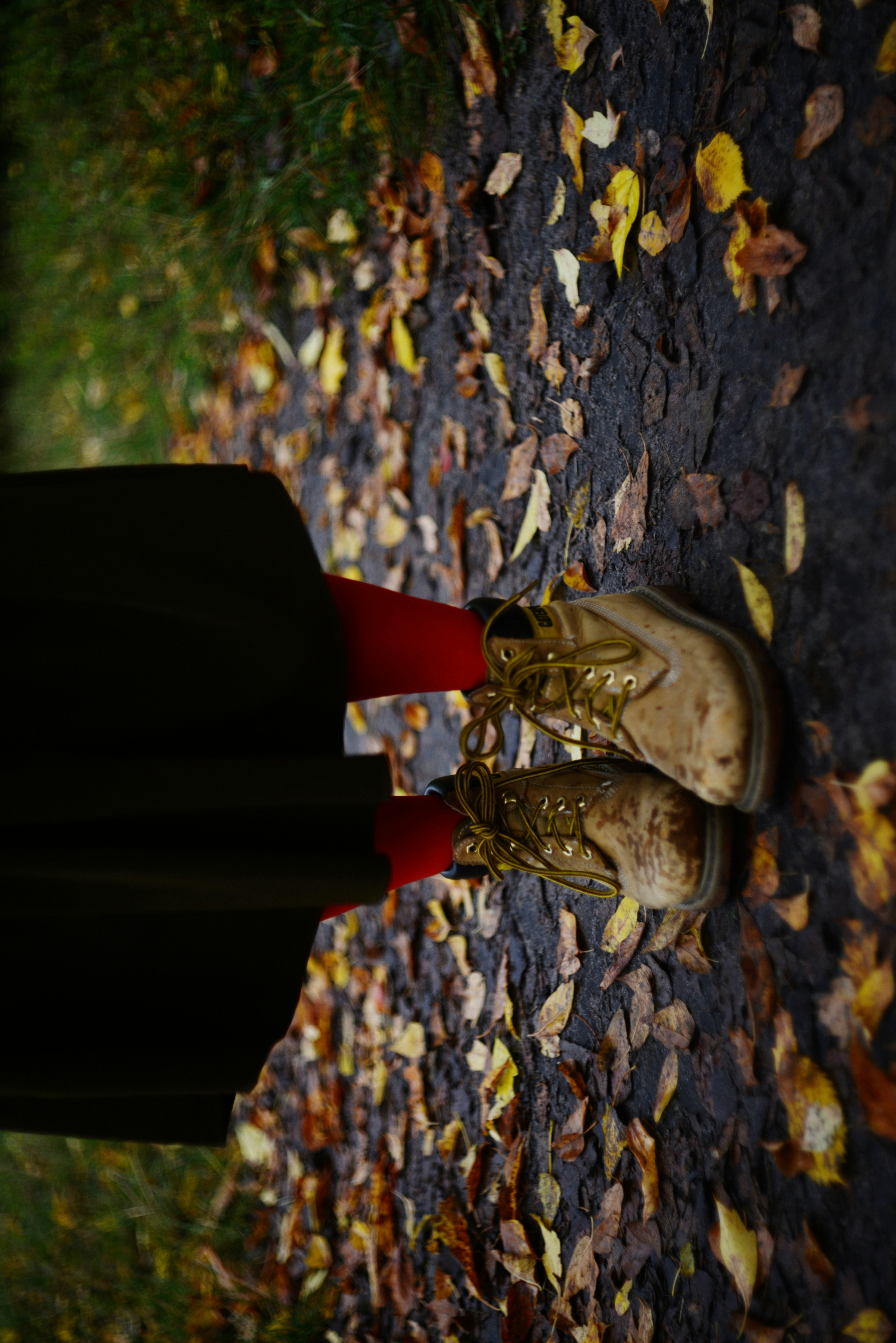 Golden boots standing on a path covered with autumn leaves, complemented by vibrant red stockings. The scene captures the essence of fall fashion against a natural backdrop.