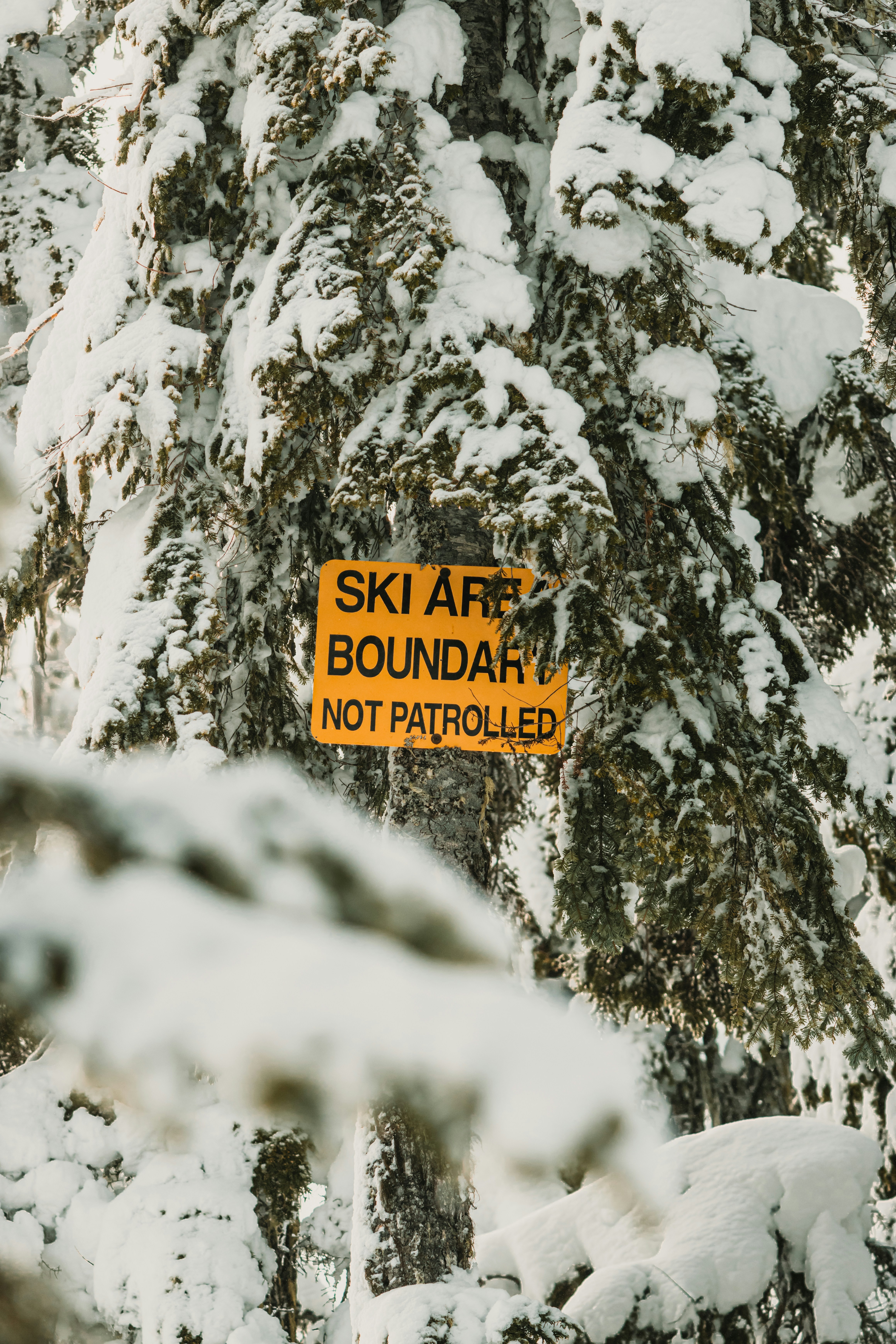 Caution in the Winter Wonderland