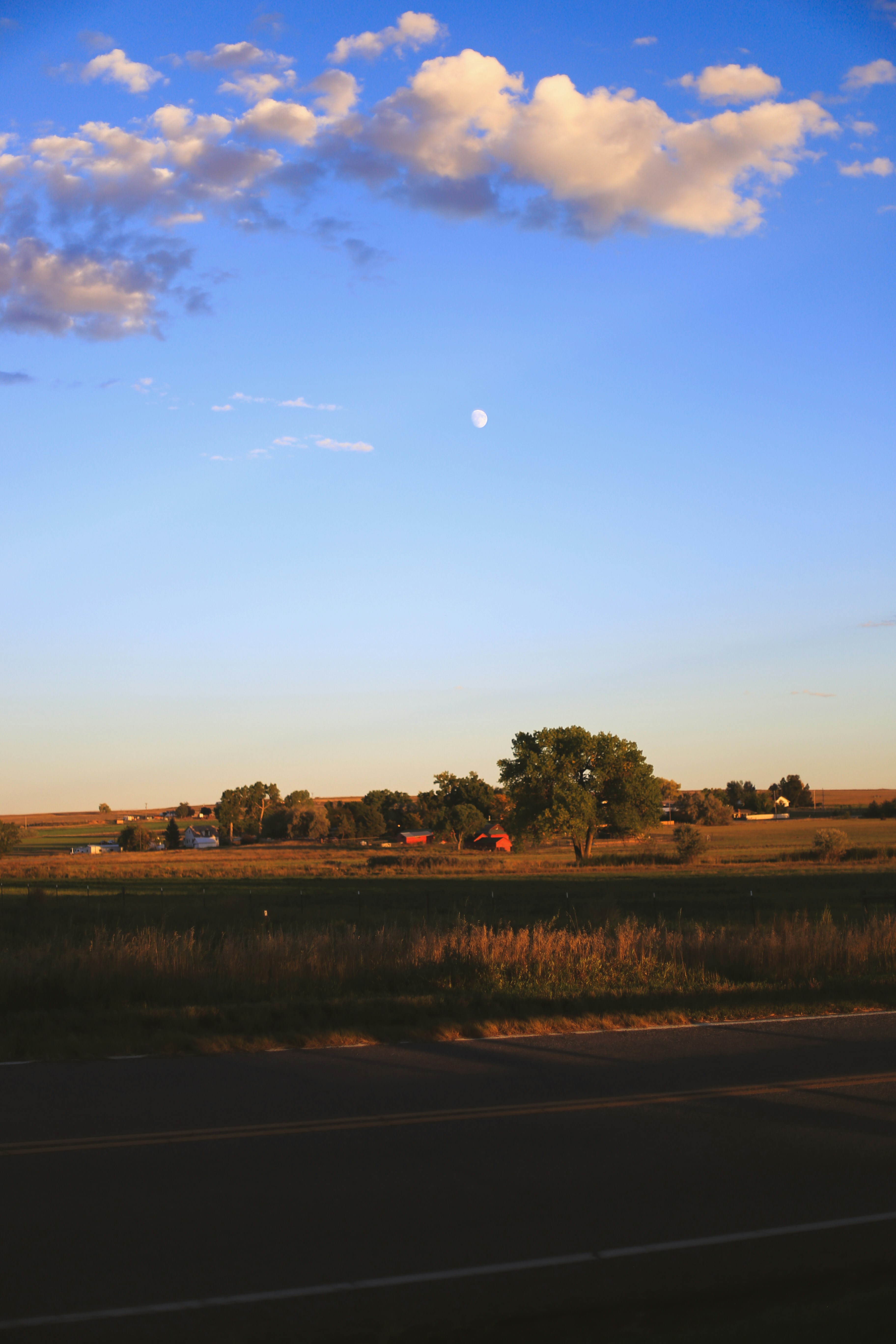 Rural landscape with a tree and distant buildings at dusk.