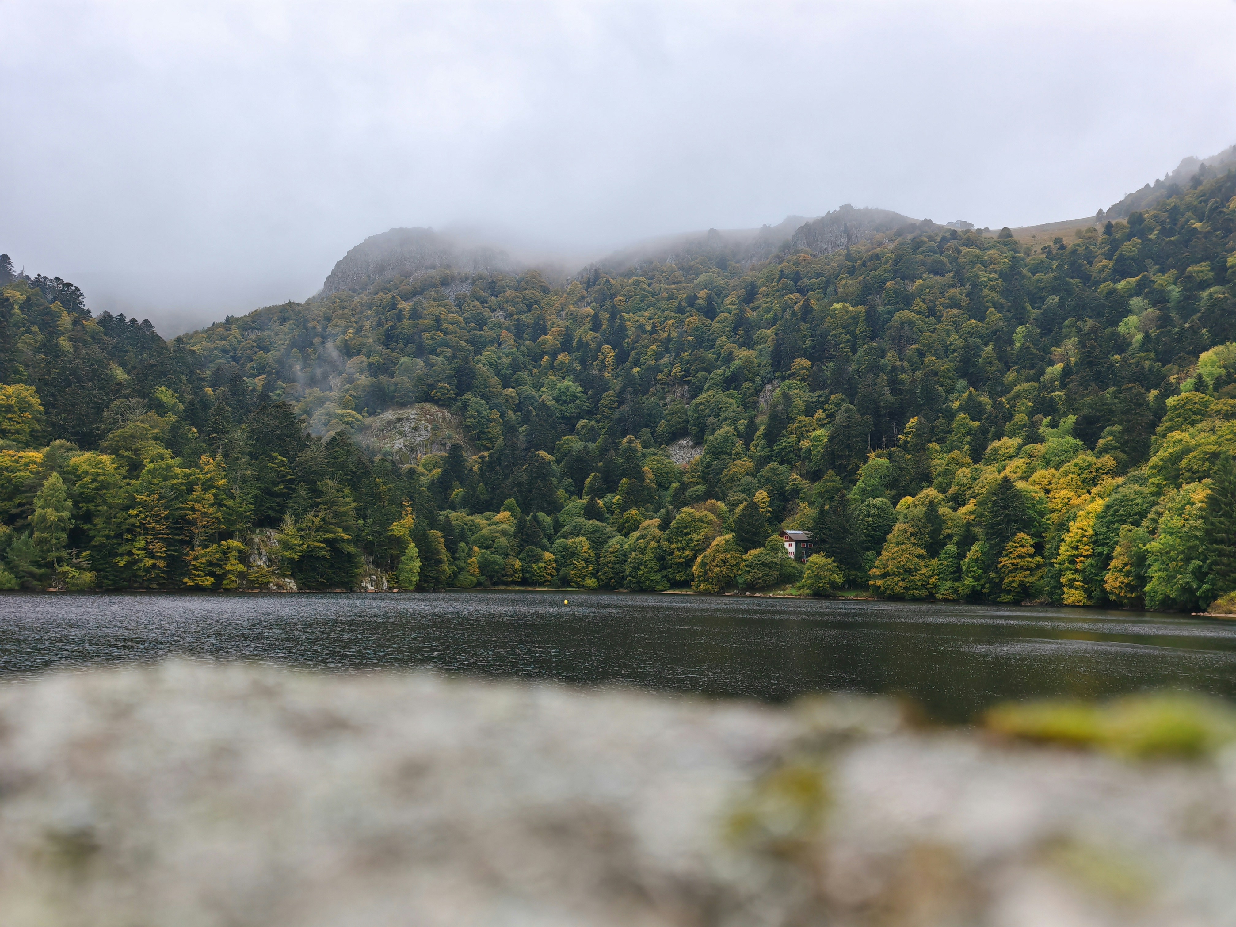 Misty forest surrounds a calm lake on a cloudy day