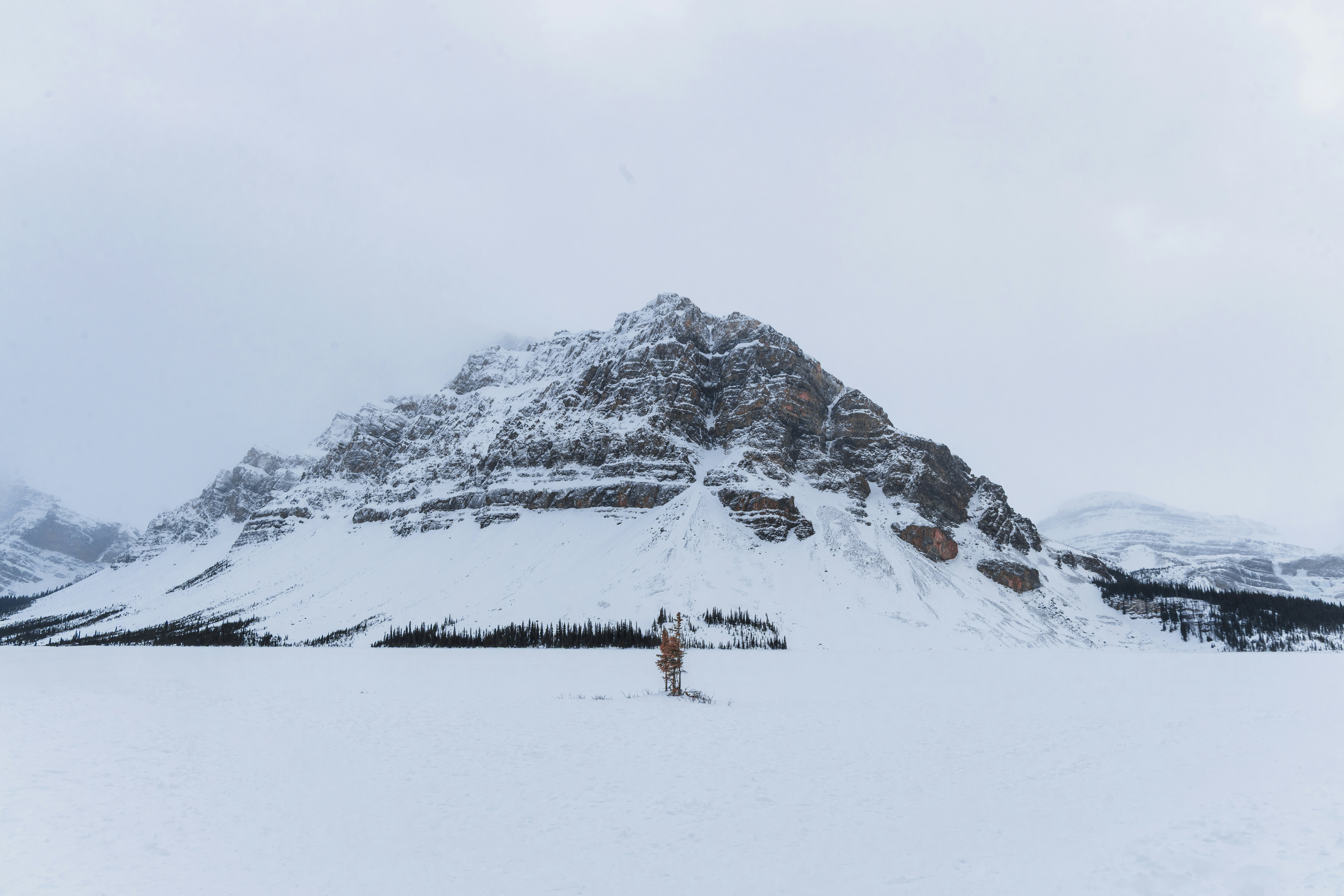 Solitude Amidst the Snow-Capped Giants