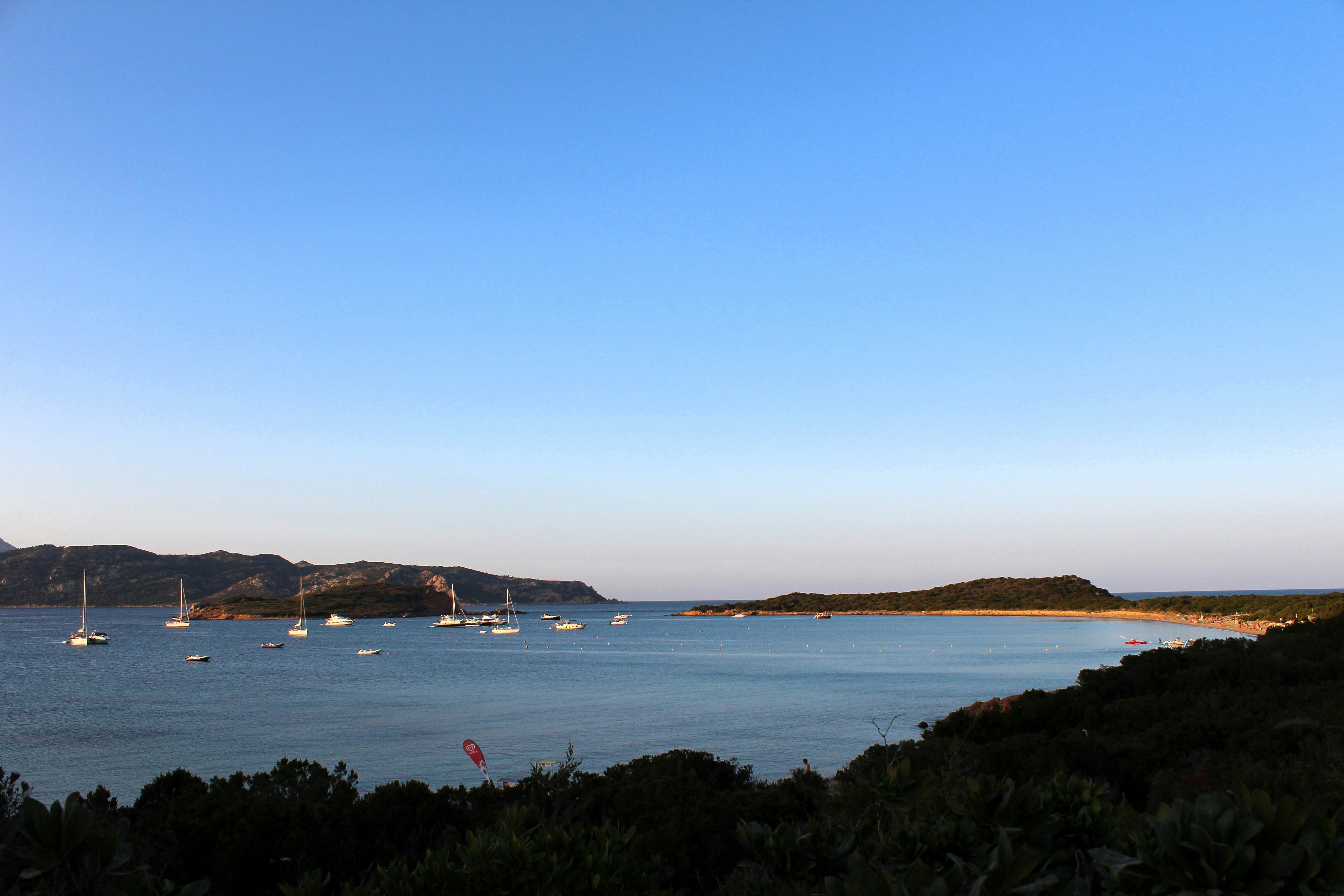 Serene Harbor at Dusk