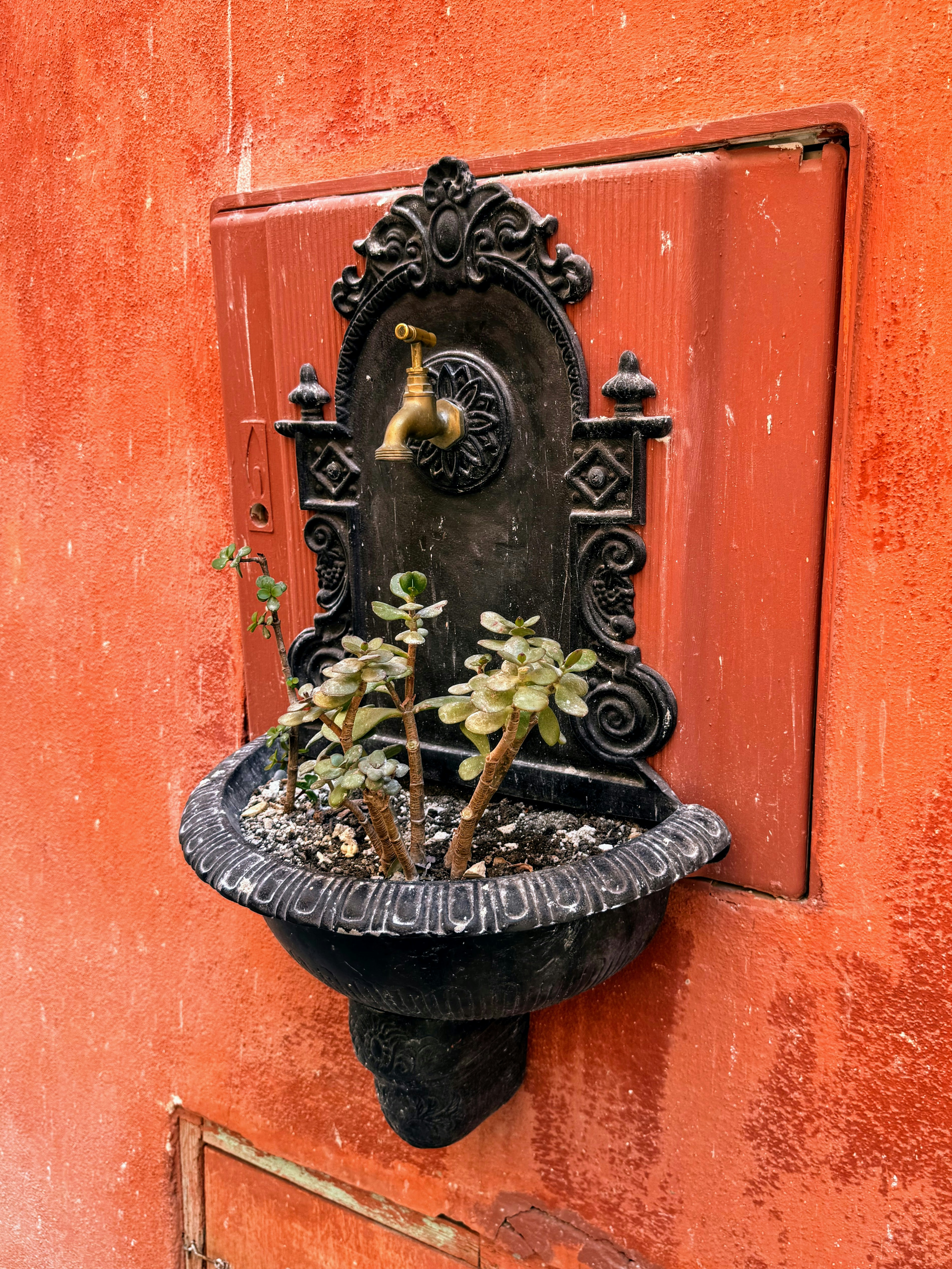Ornate vintage fountain with plants on orange wall