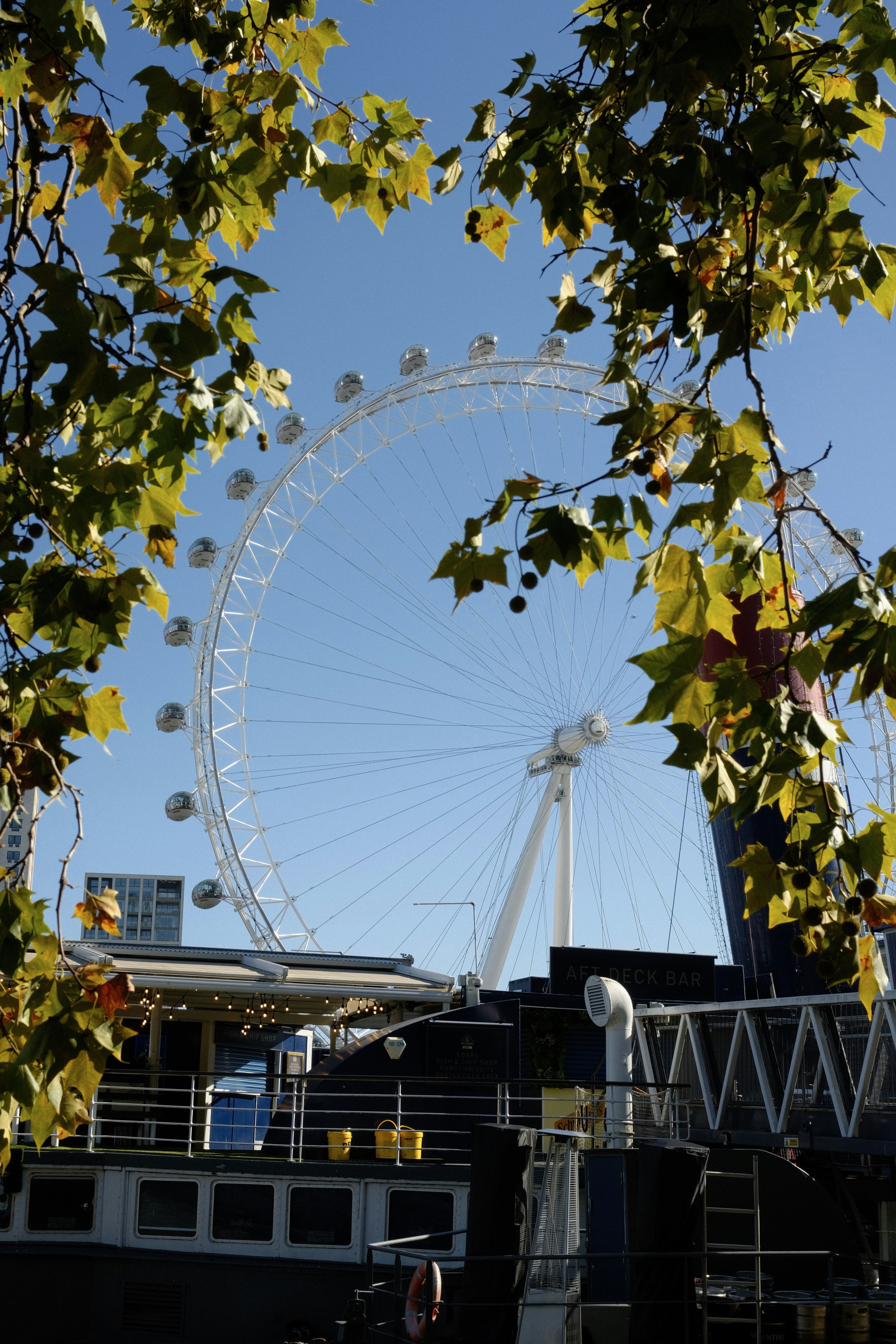 A Framed View of Urban Whirl