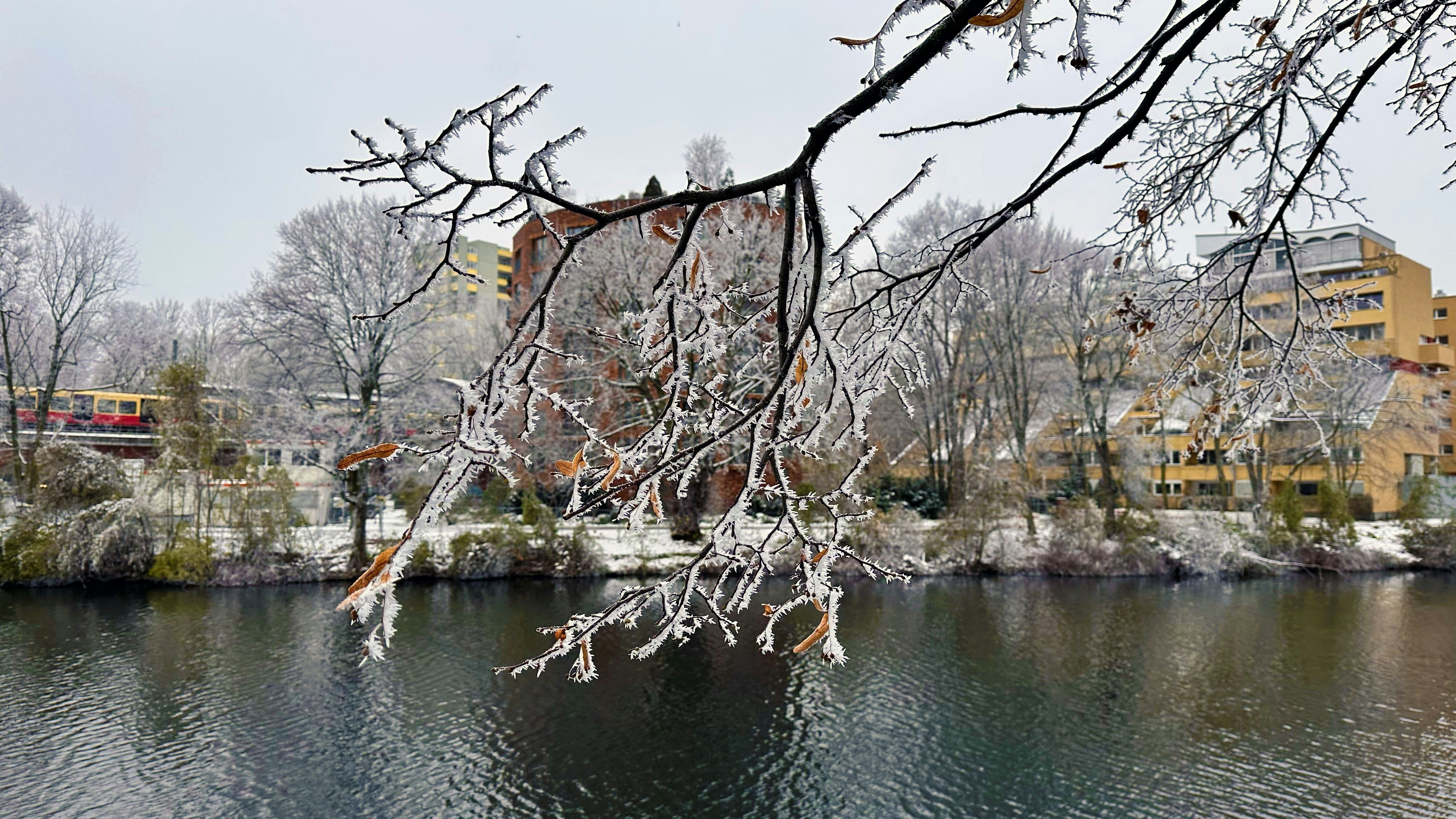 Winter's Embrace: A Frozen ReflectionRenato Galisteu