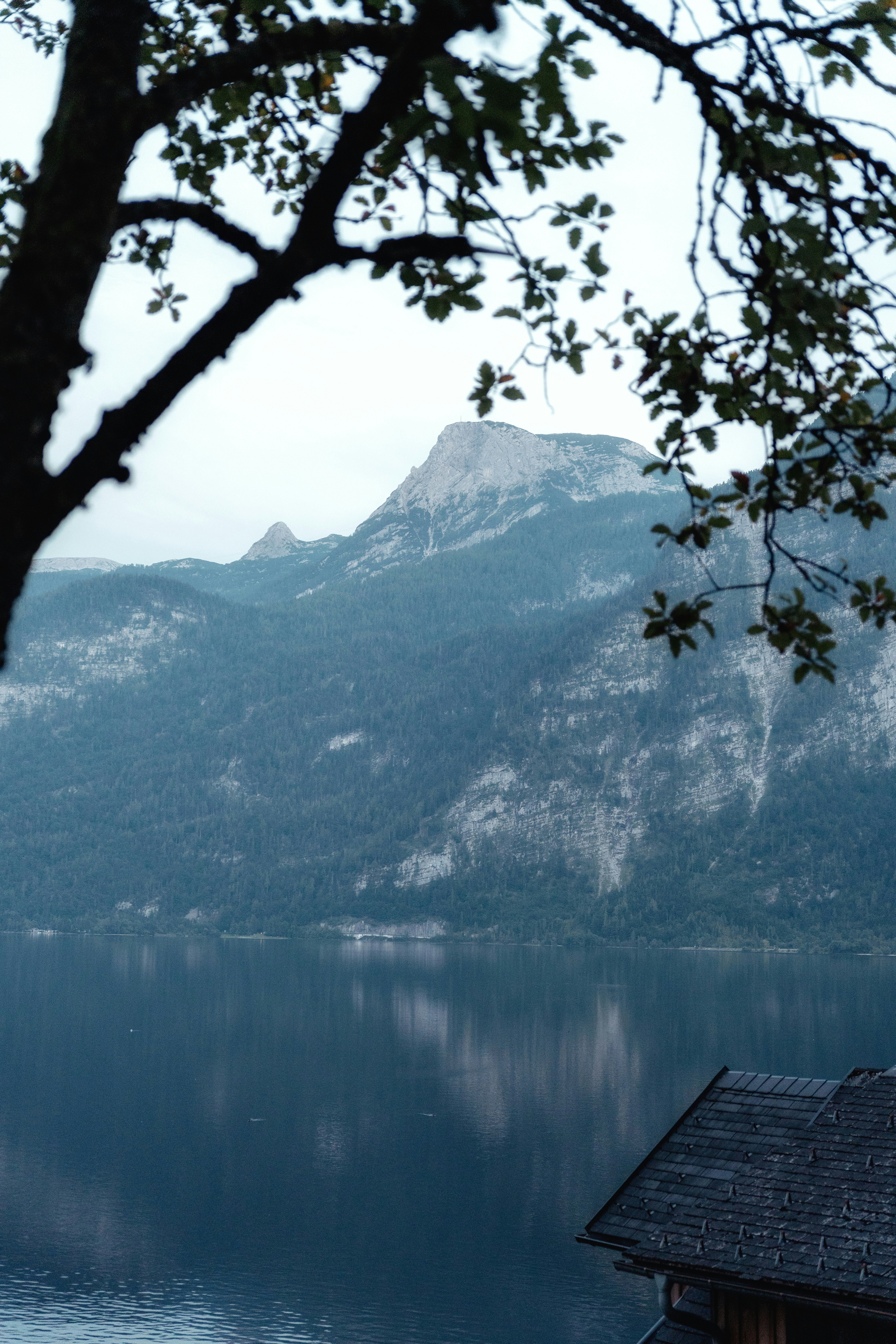 A serene lakeside view framed by branches, showcasing a distant mountain range reflecting in the calm waters below.