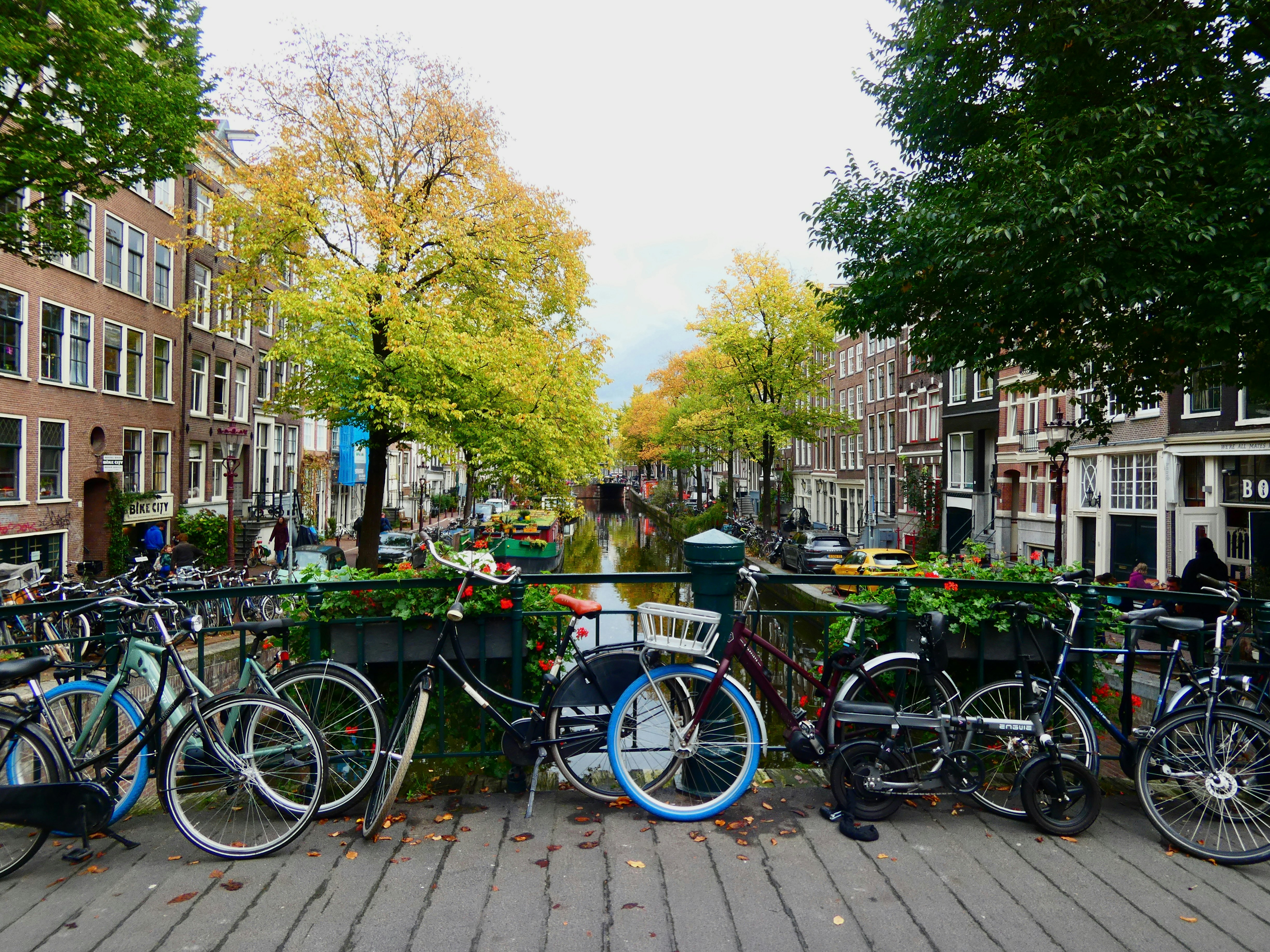 A vibrant scene of bicycles lined along a canal in Amsterdam, framed by autumn trees and historic architecture.