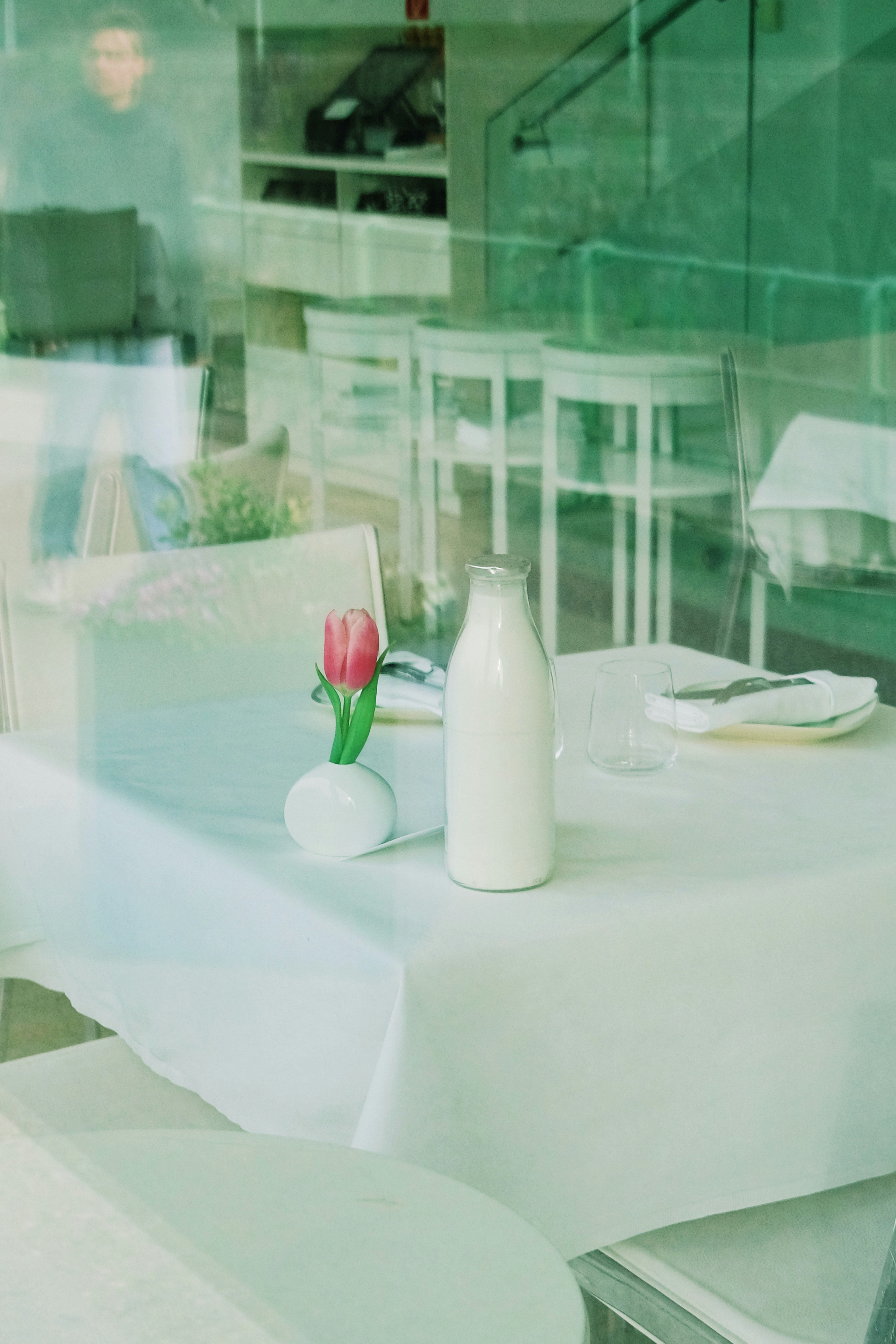 Reflections of a Tranquil Dining Experience