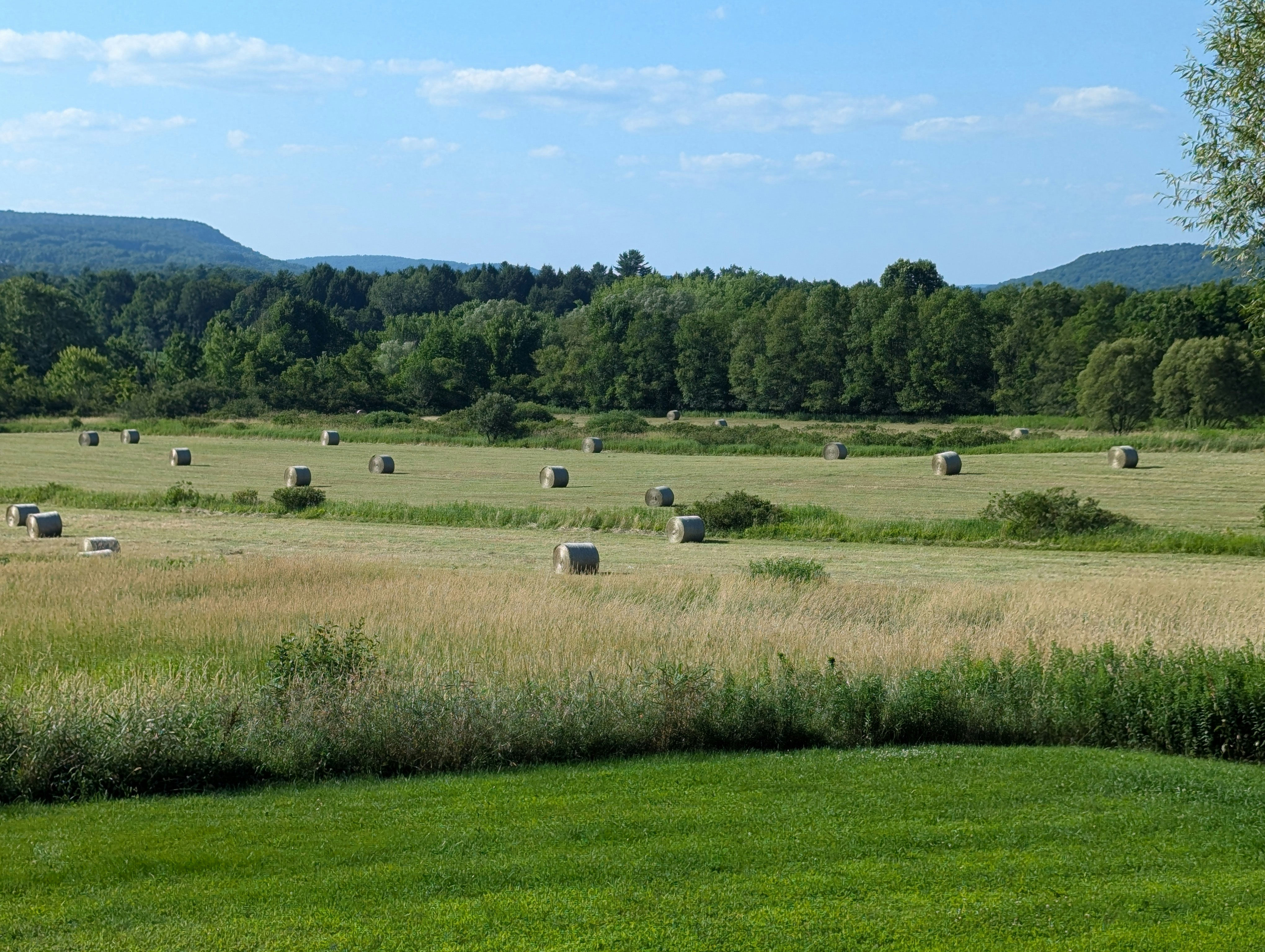 Hay bales scattered across a grassy field under blue sky.
