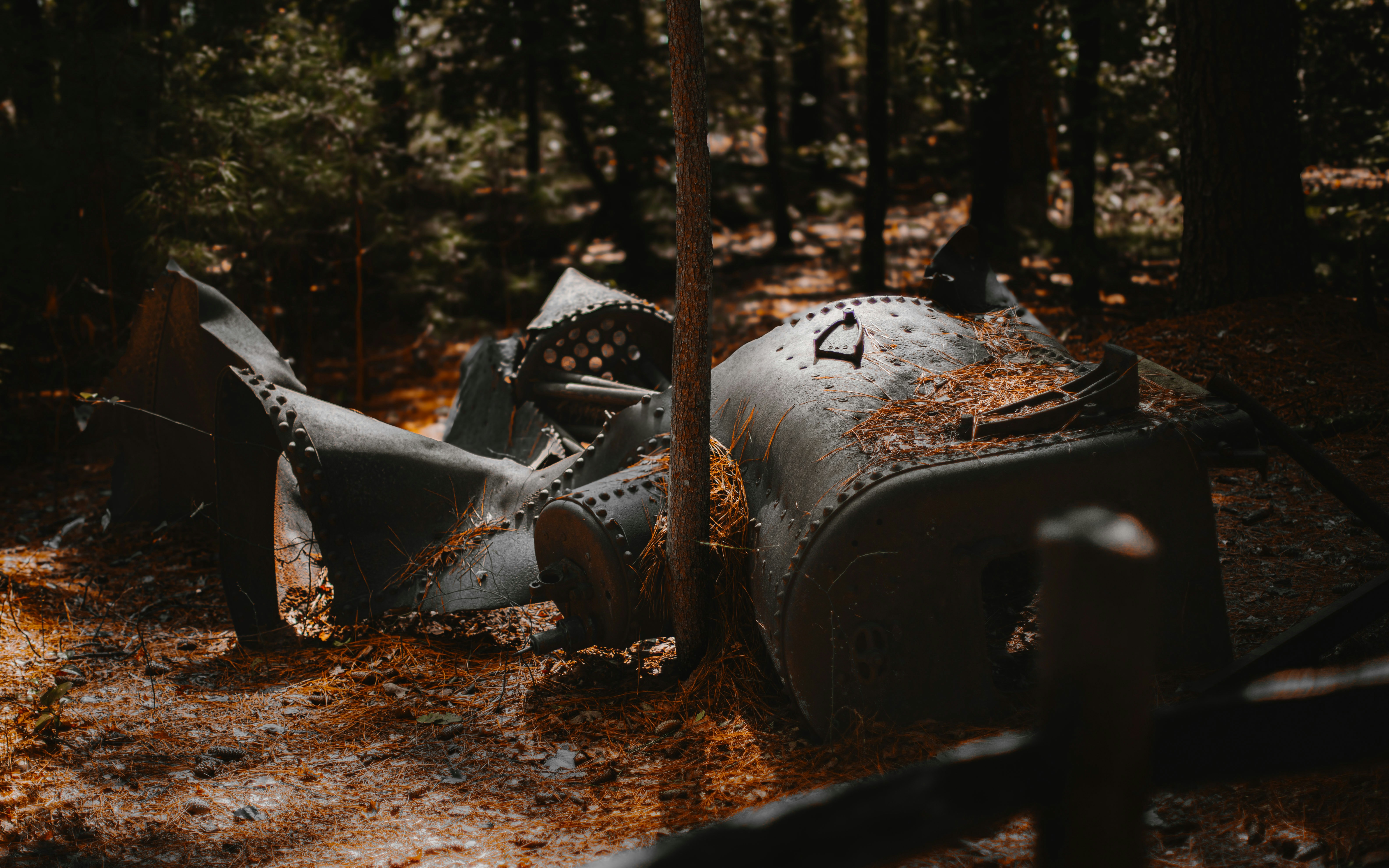 Echoes of the Past: Nature's Embrace on Rusted Remnants