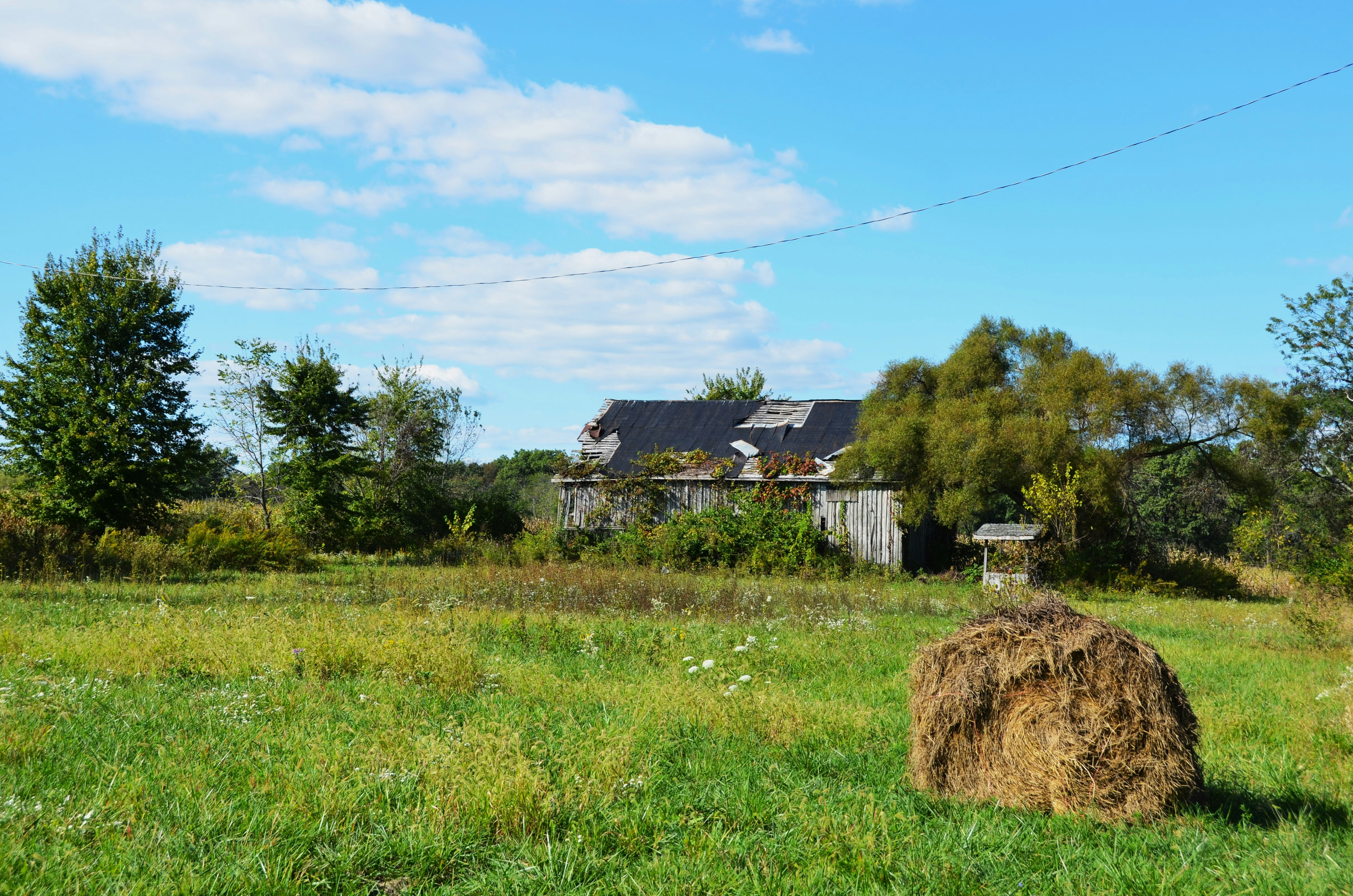 Whispers of a Forgotten Homestead