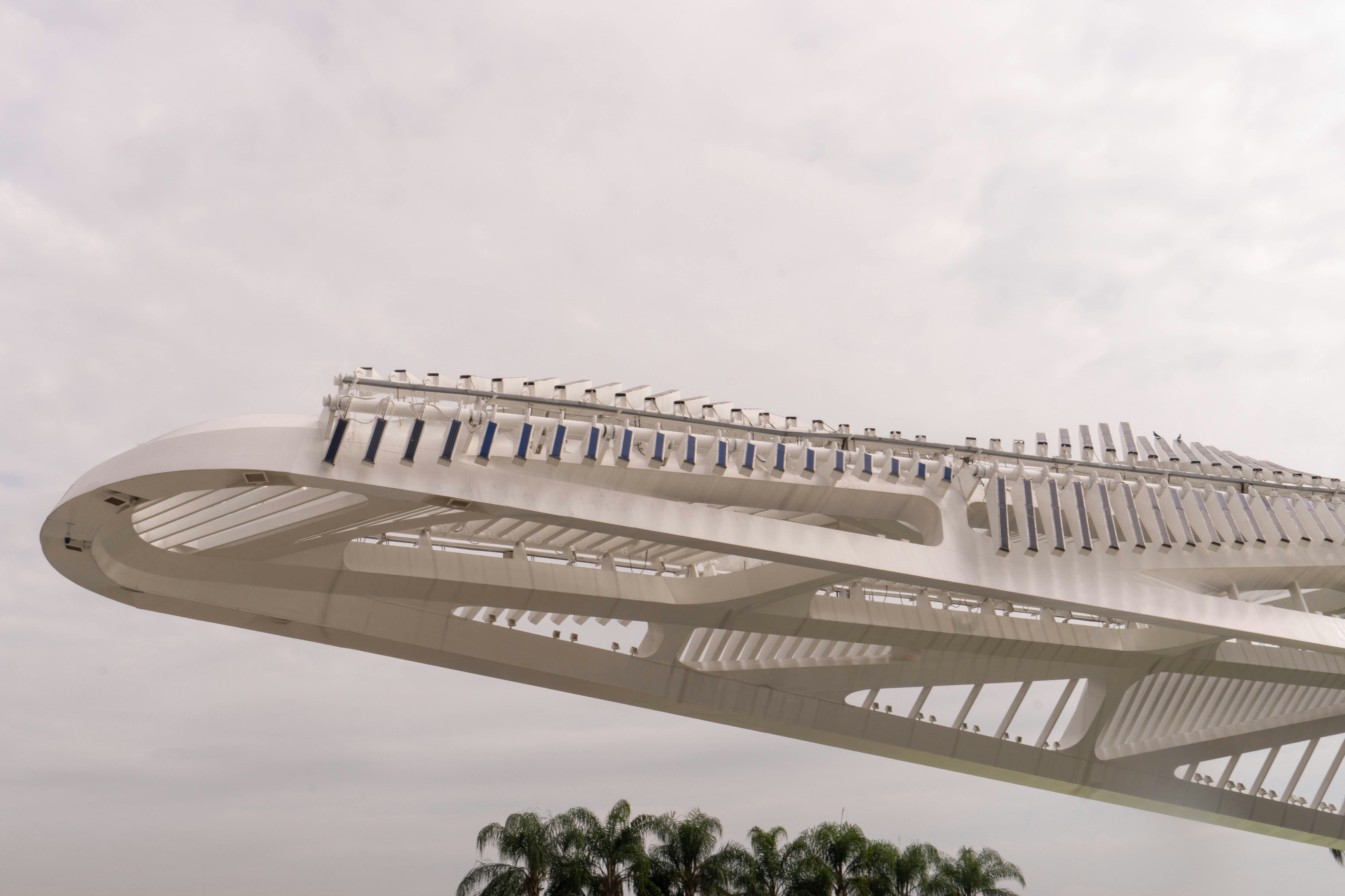 Curvilinear Elegance: The Architectural Marvel