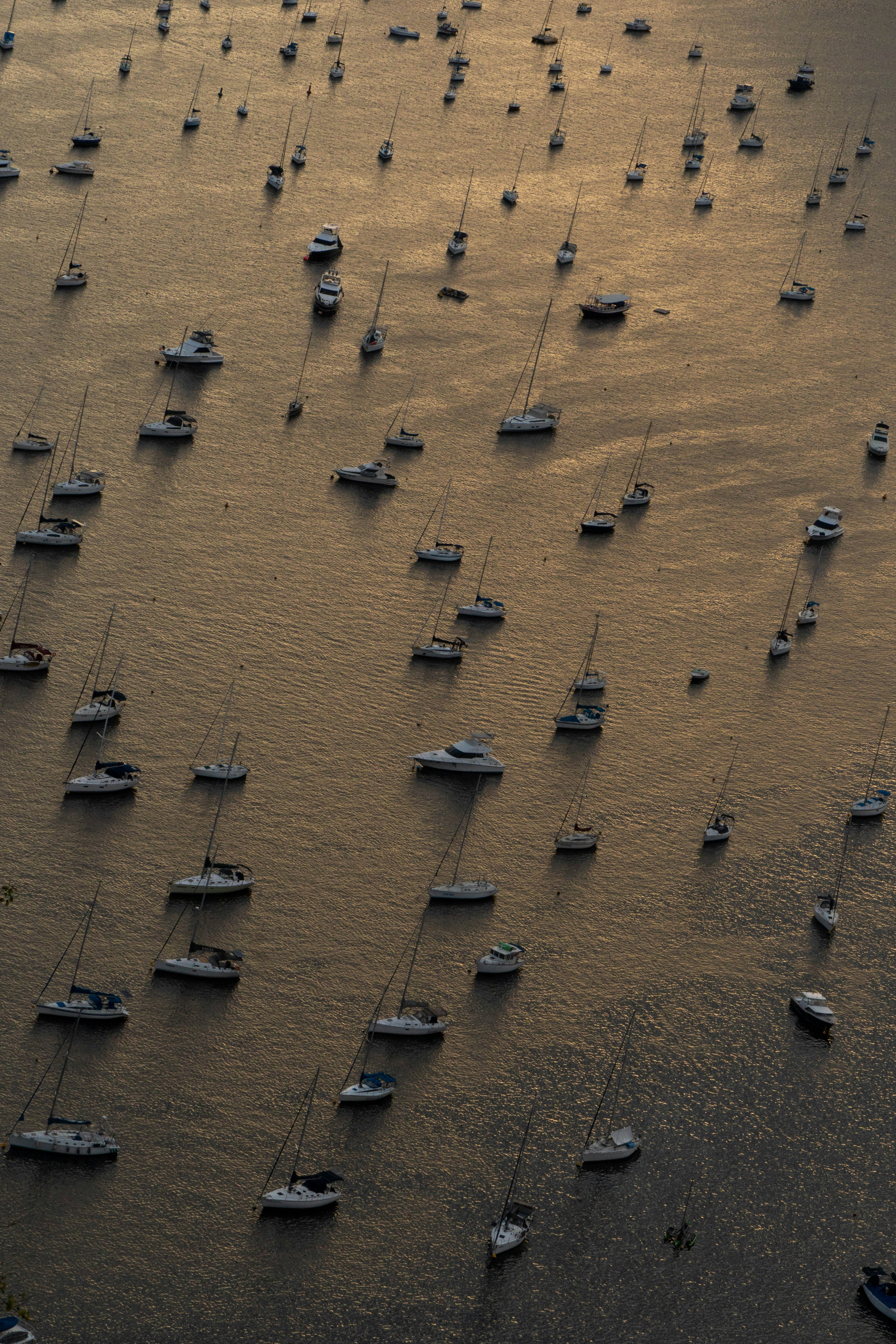 Serenity on the Water: A Fleet at Rest