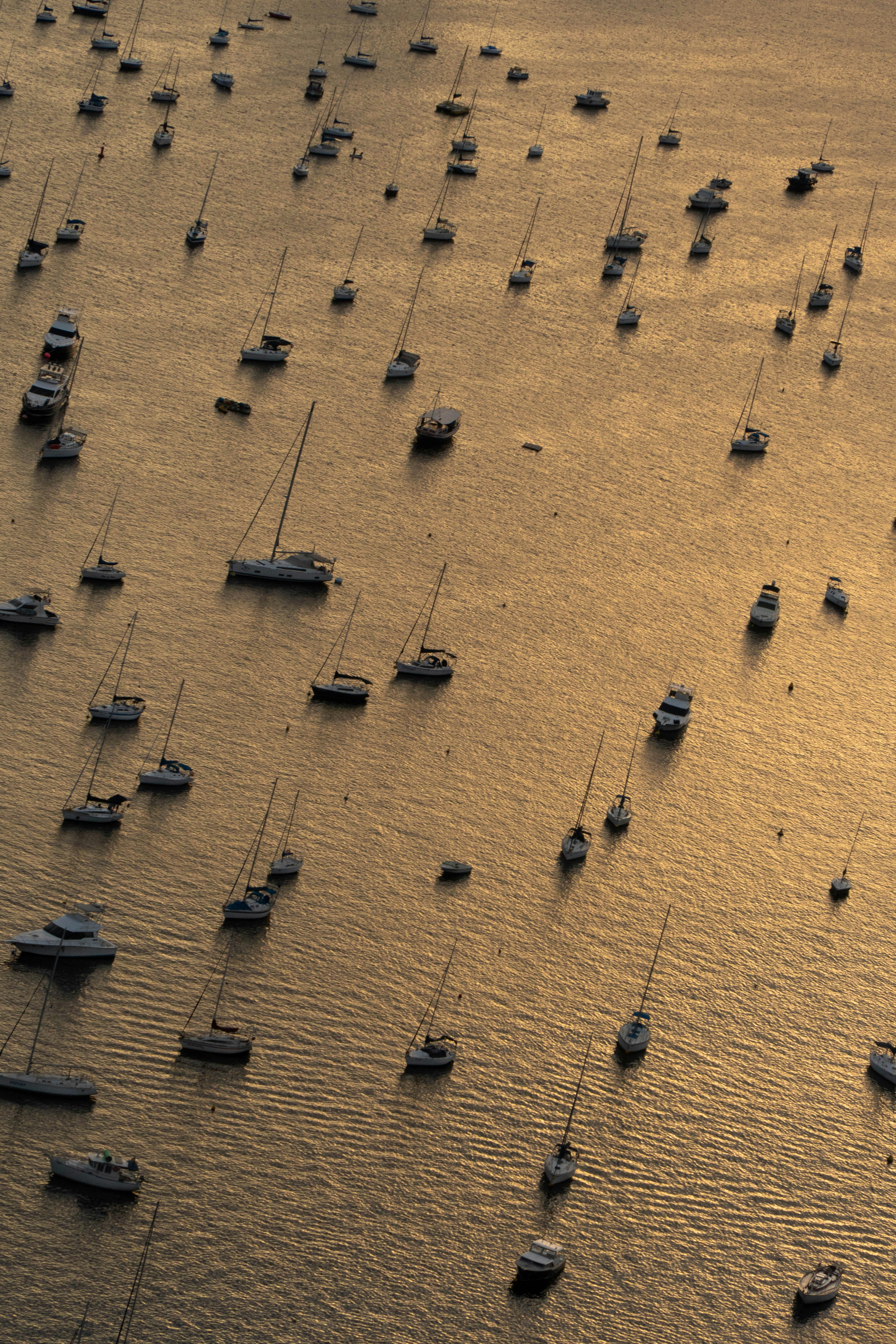 Many sailboats anchored on golden water at sunset. photo – Free Travel ...