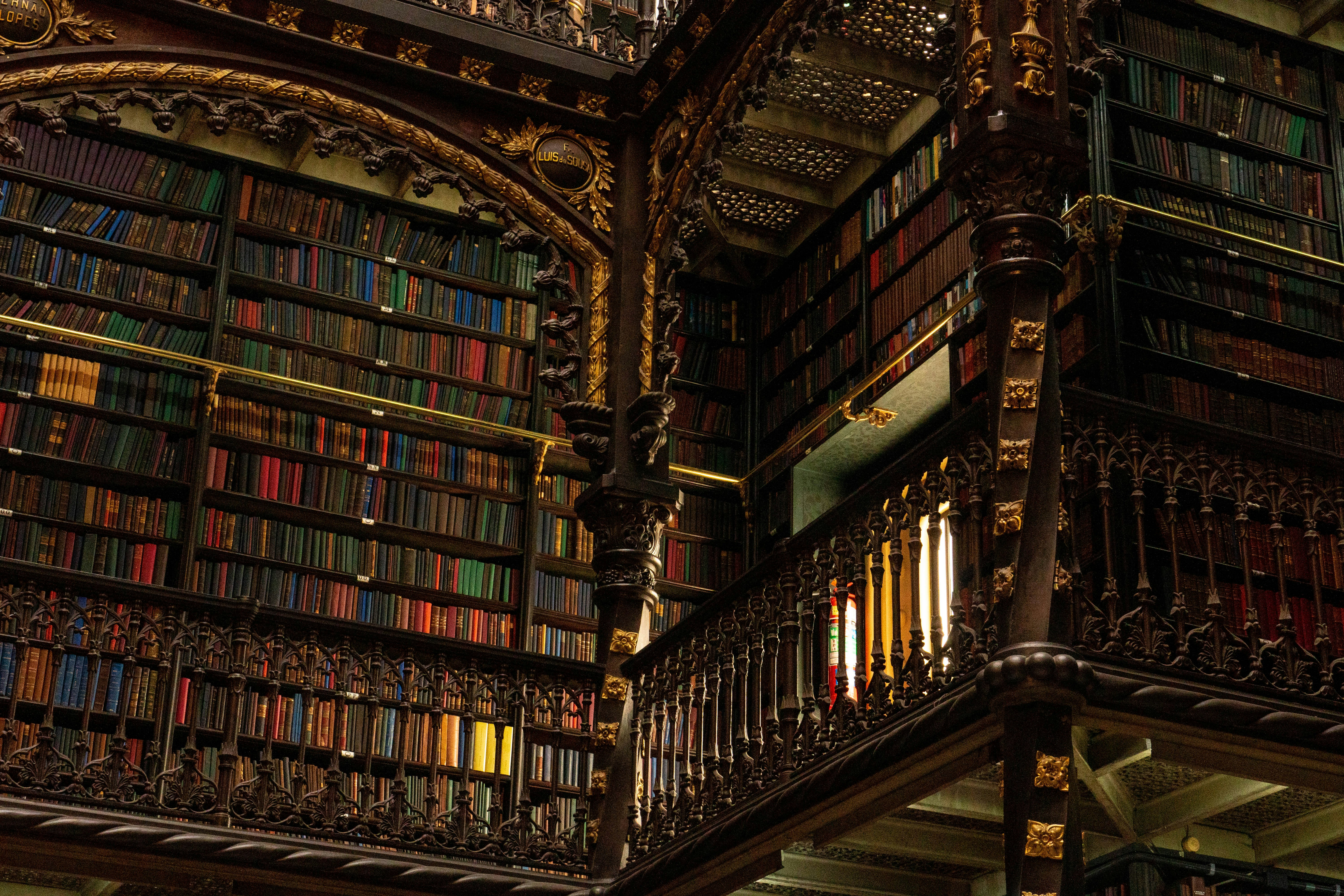 Ornate library interior with tall bookshelves filled with books.
