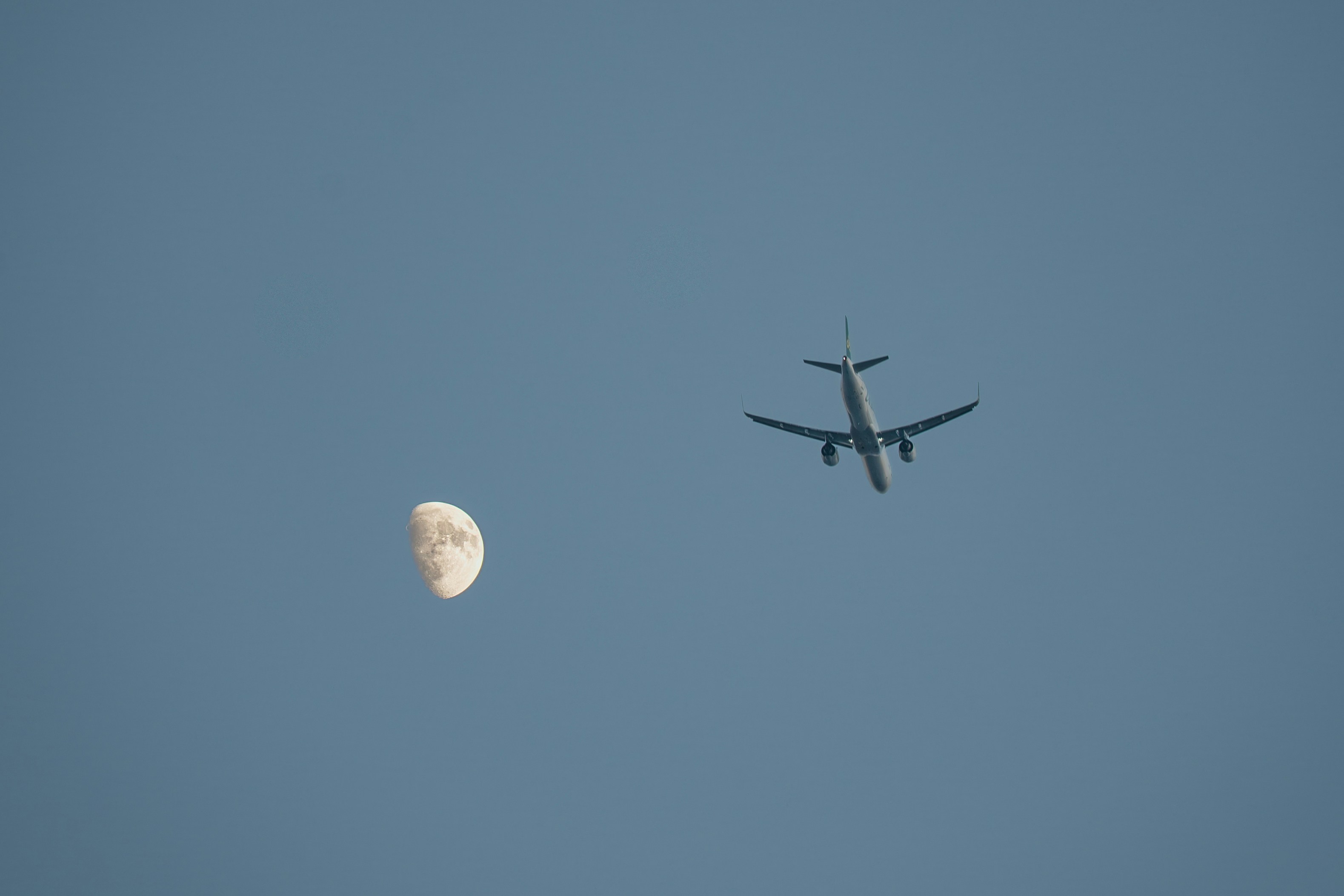 Soaring Dreams Under a Celestial Watch