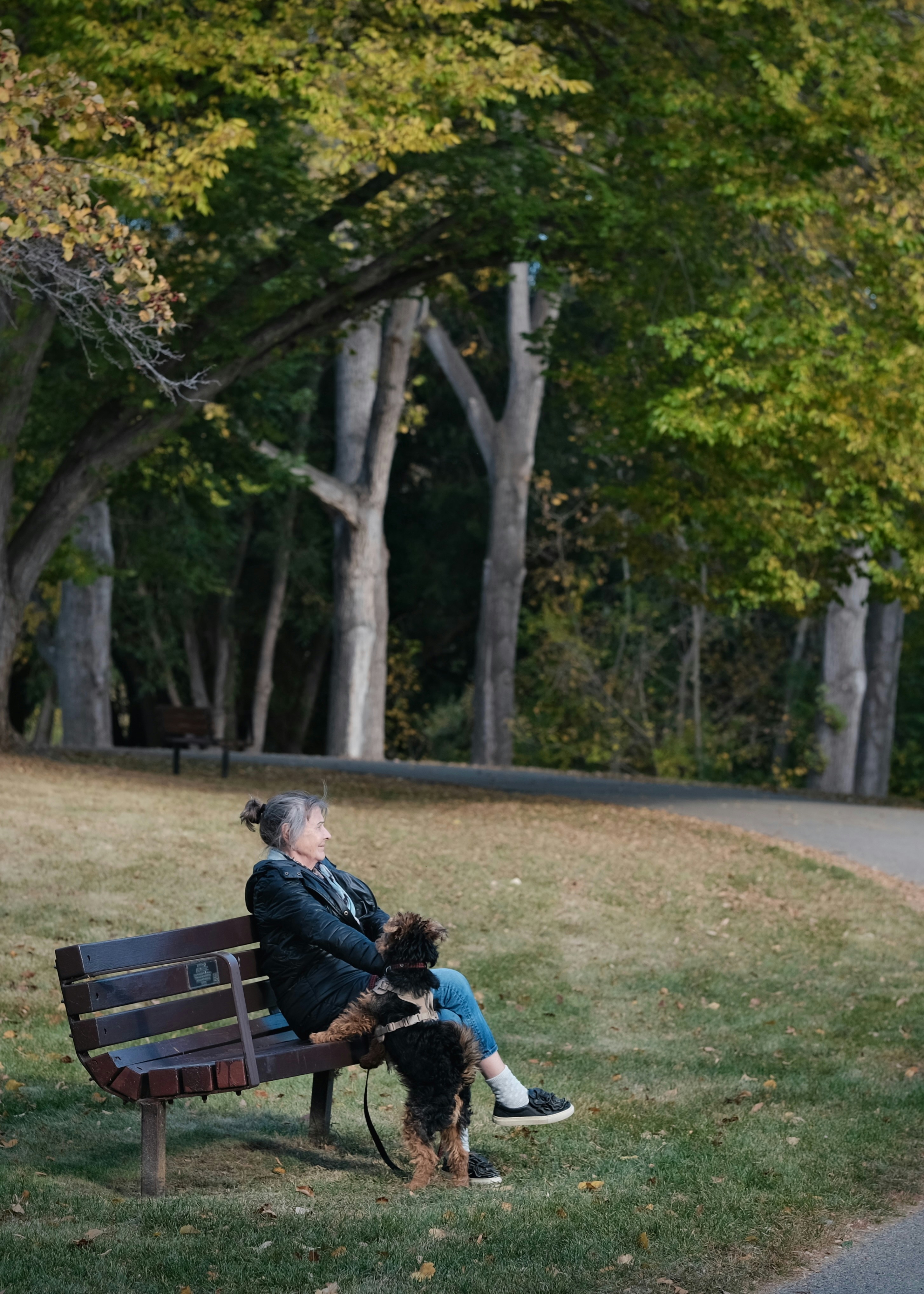 A Serene Moment in Nature's Embrace