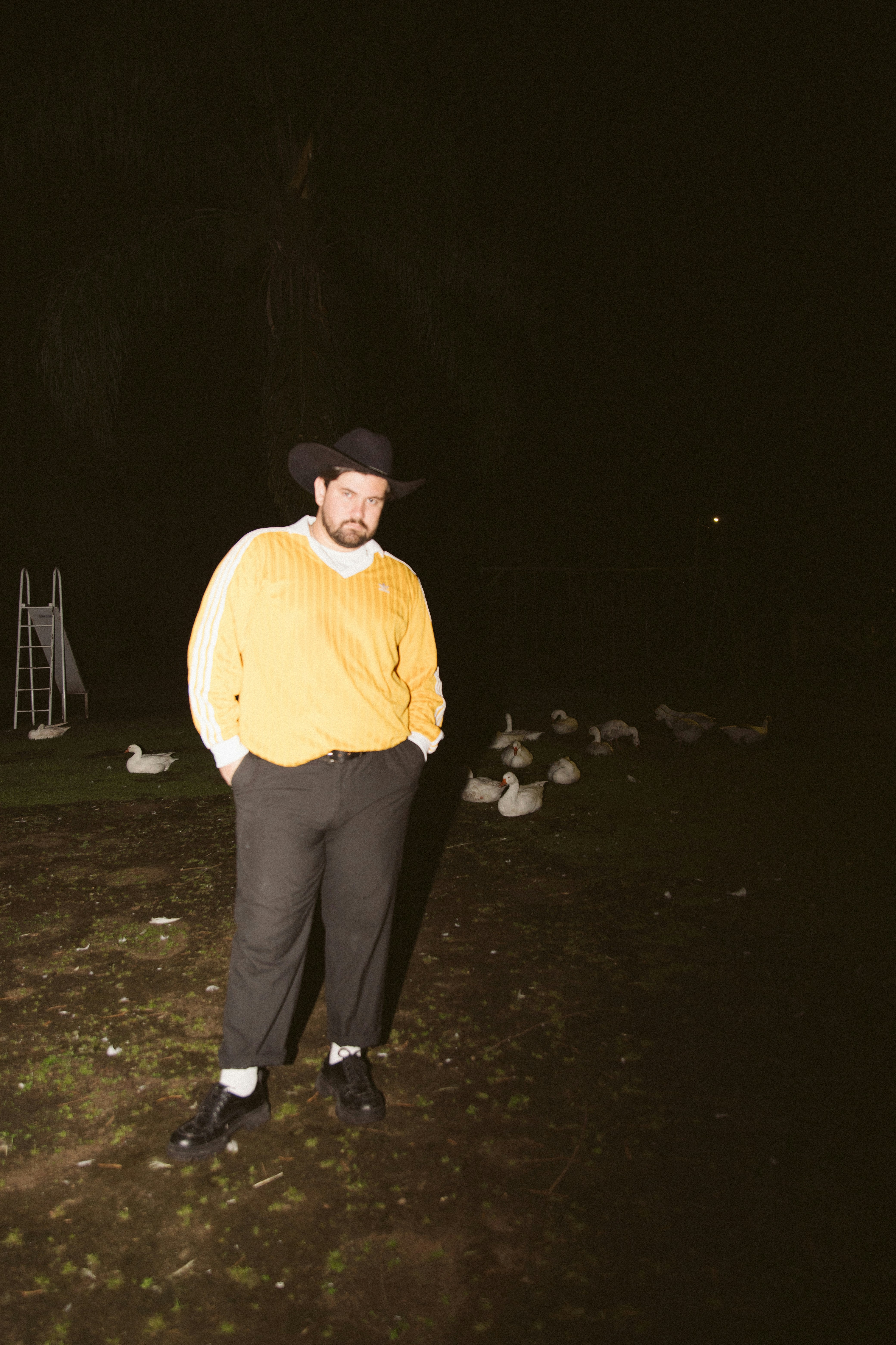 The Nighttime Cowboy Amidst Quacking Companions