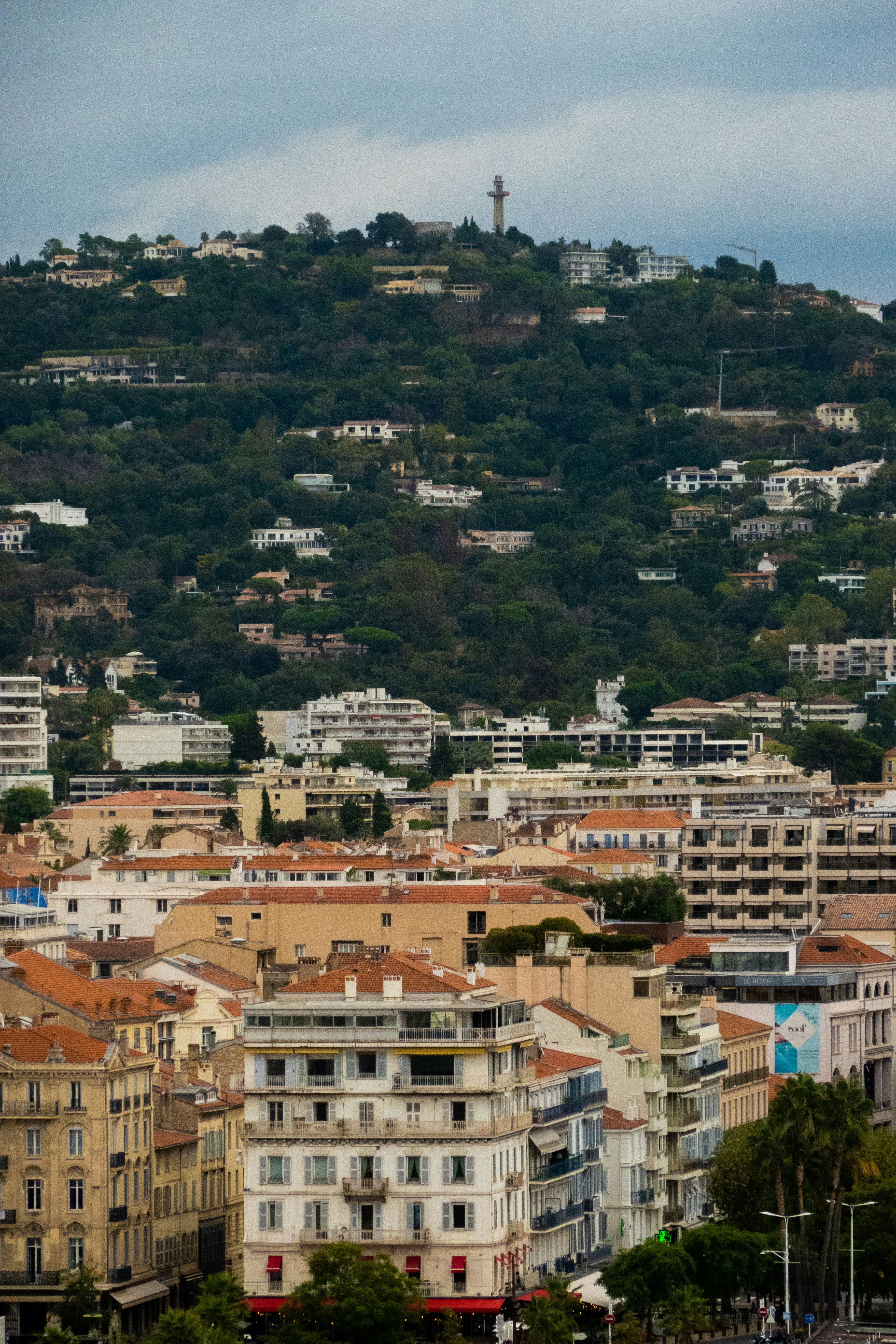 City buildings nestled at the base of a tree-covered hill.