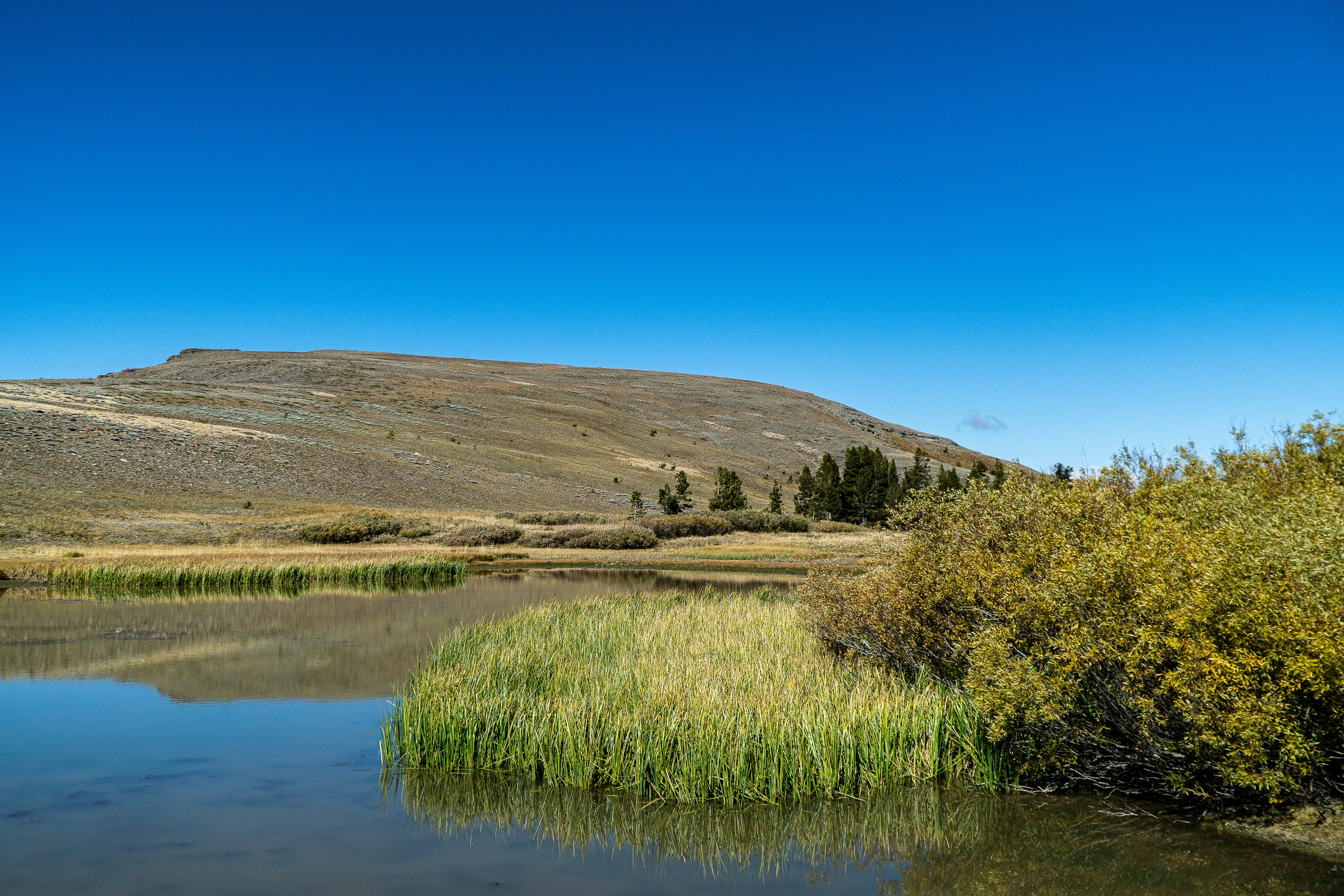 Lush green grasses reflect in the calm waters of a highland lake, framed by a distant rolling hill and a clear blue sky.