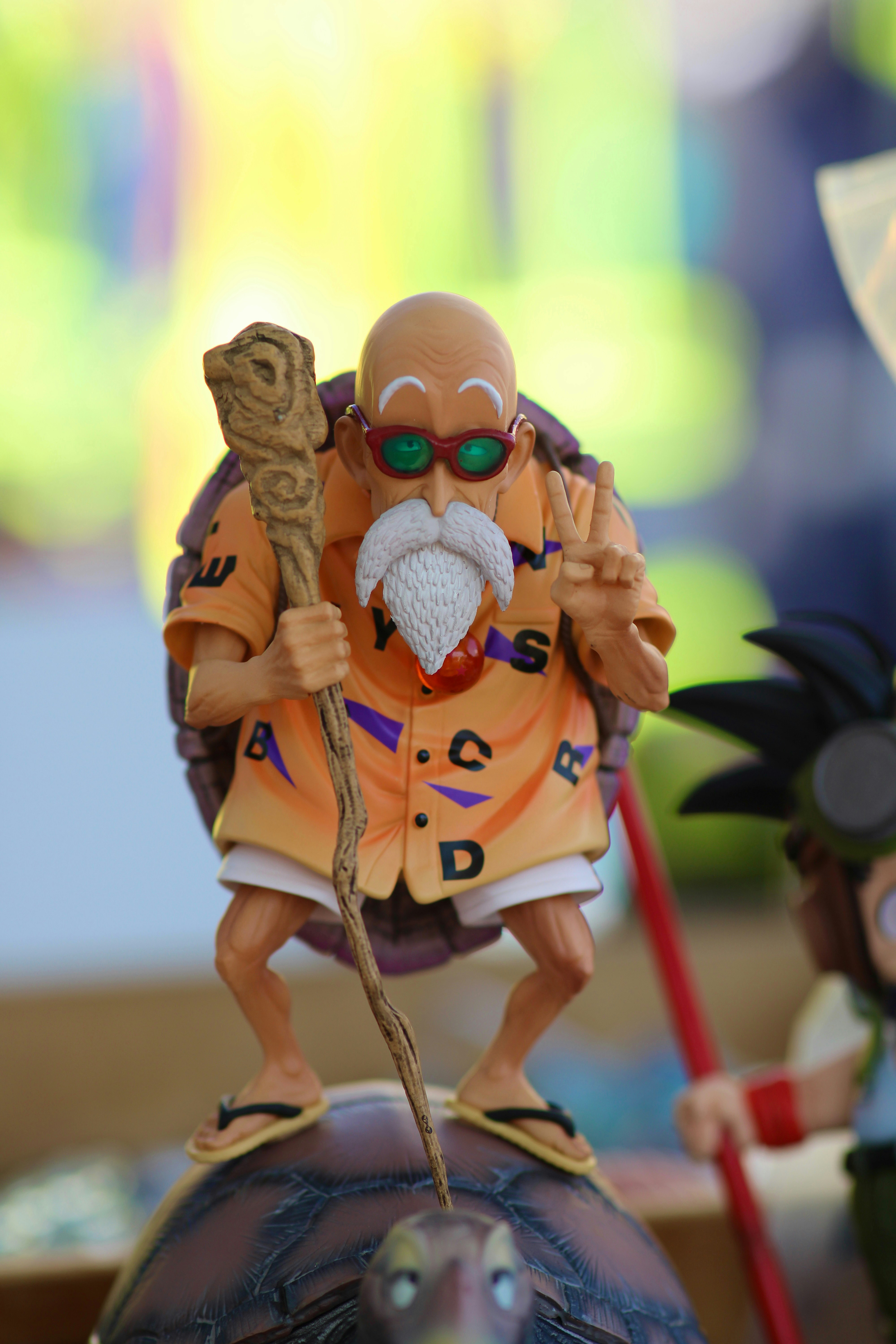 Wisdom on the Shell: A Playful Encounter